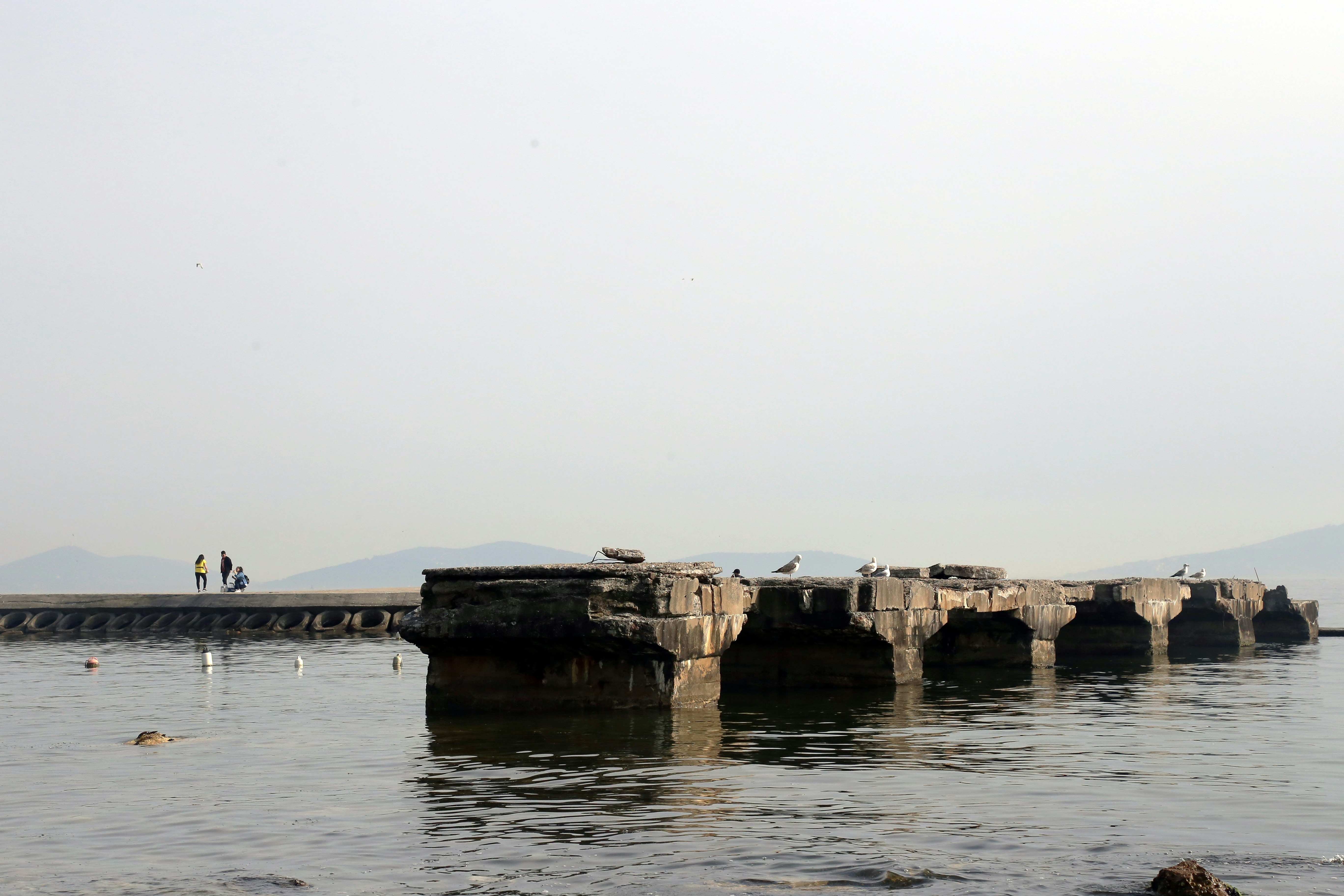 Gray concrete bridge over body of water during daytime photo – Free ...