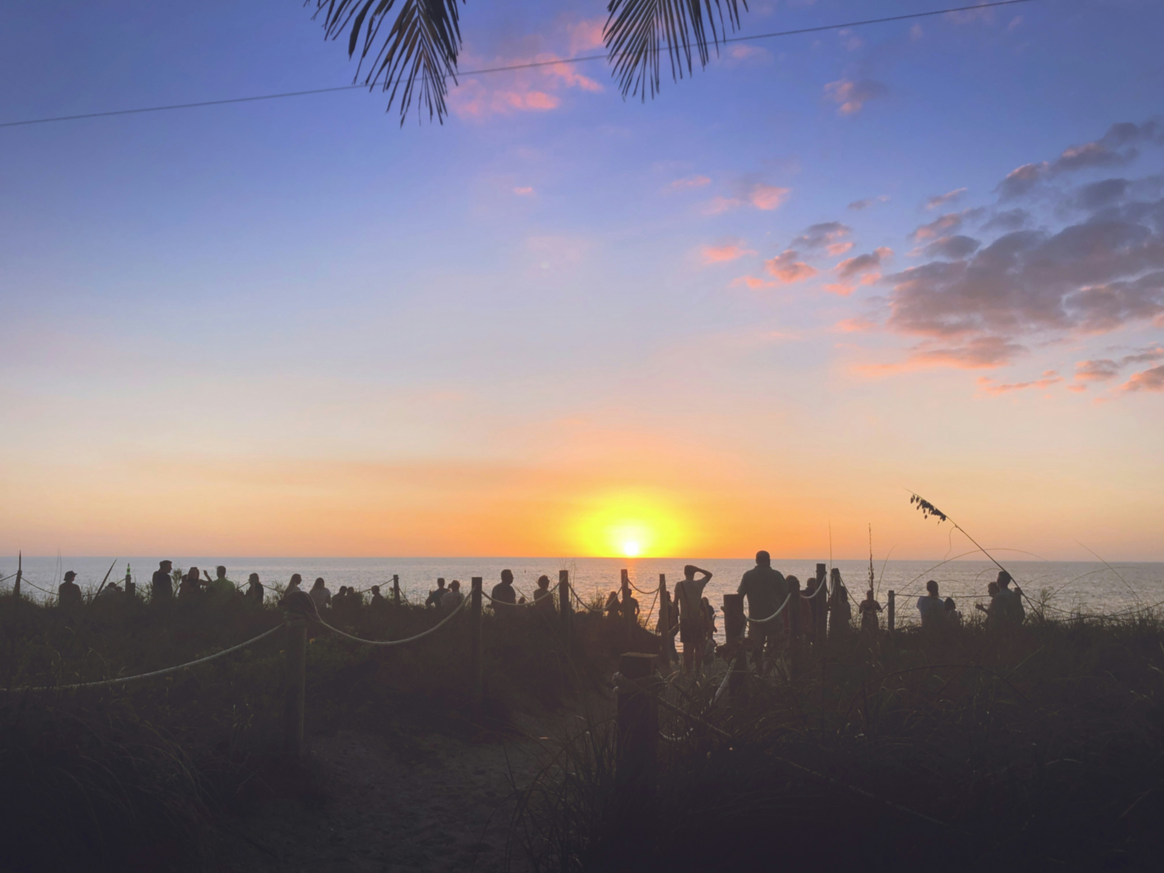 Silhouetted figures stand along the beach, watching the sun dip below the horizon, surrounded by gentle waves and palm fronds.