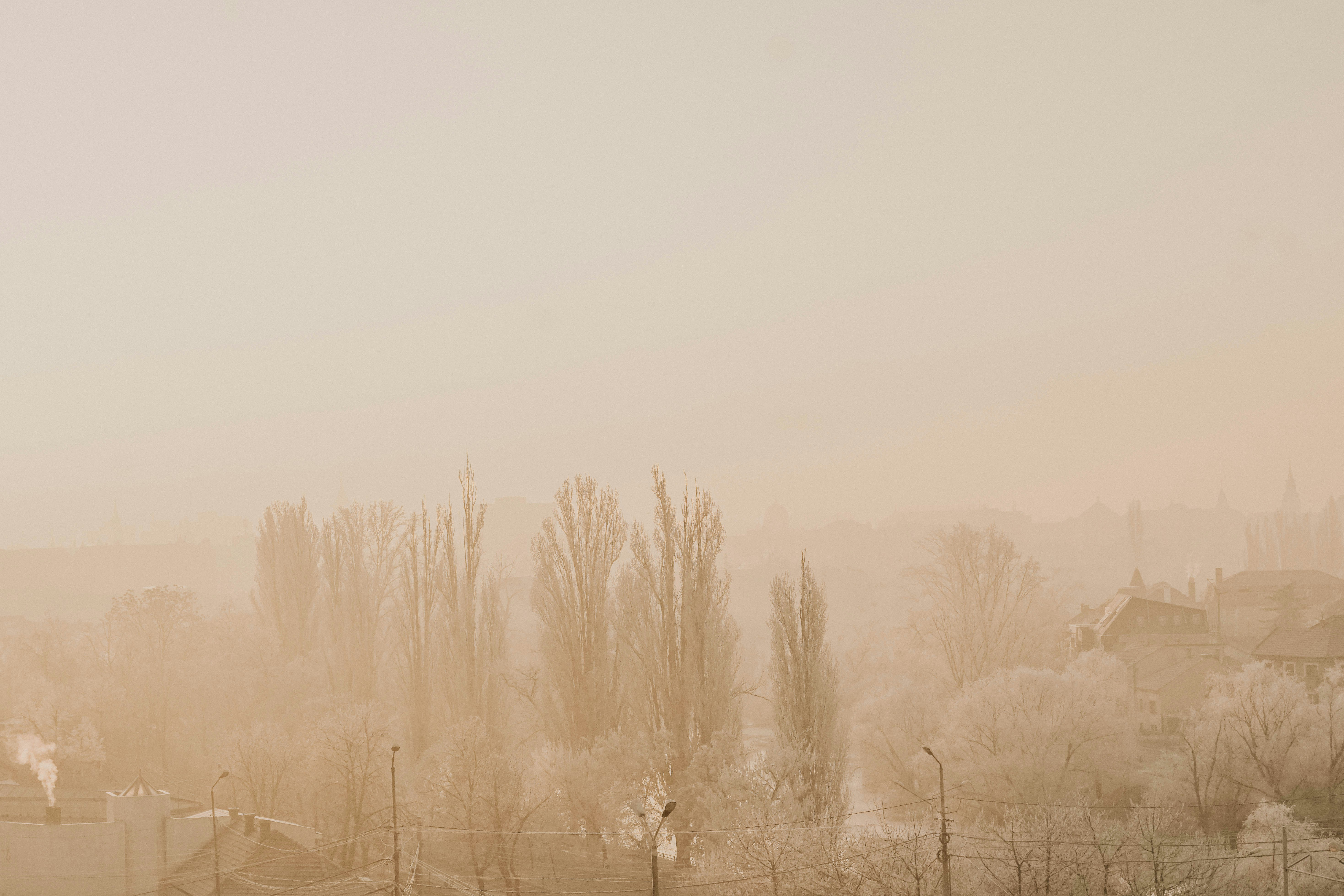 Sepia Mist Drapes a Suburban Skyline as Tall Trees Stand Silent