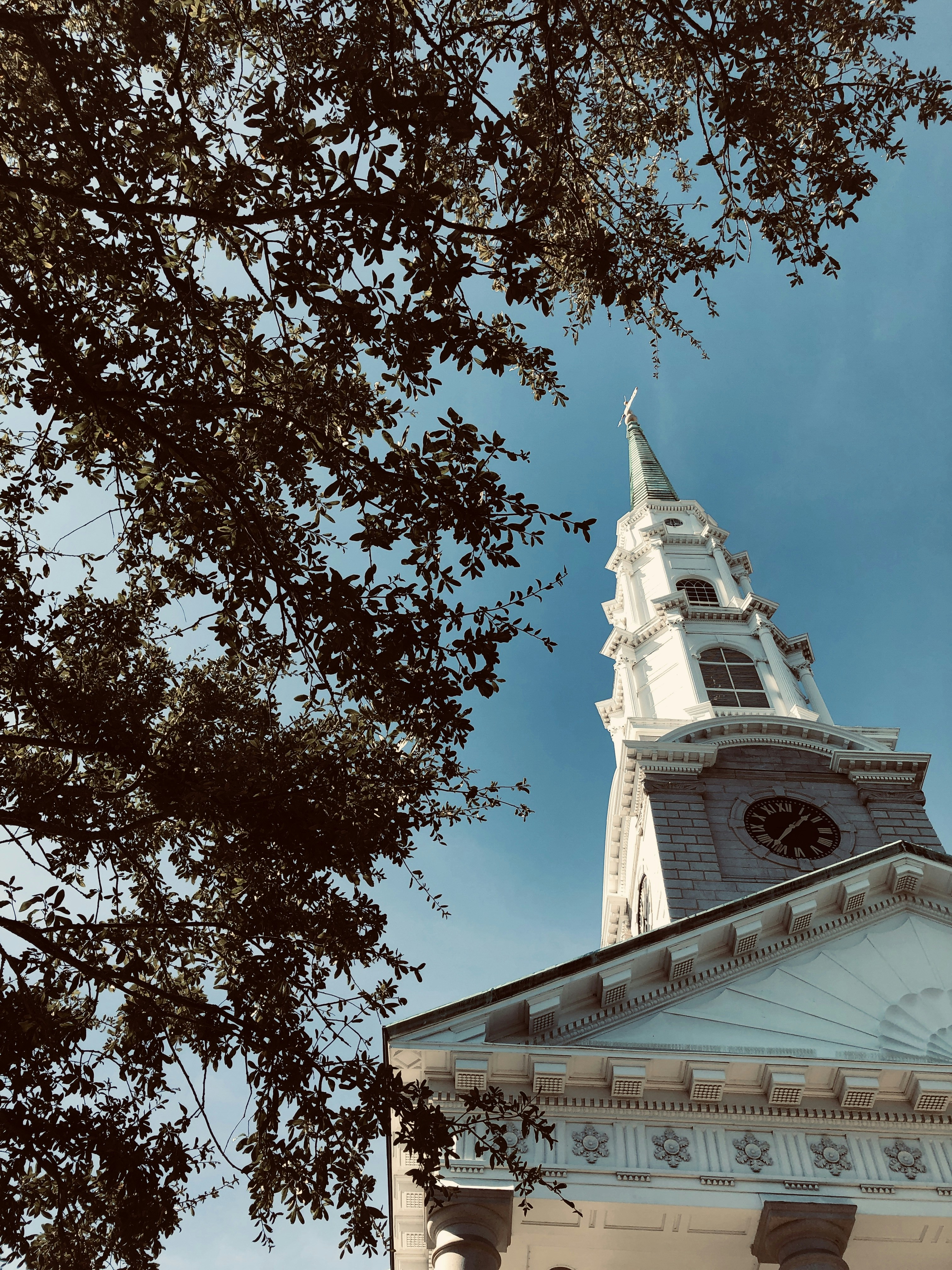 Historic church steeple framed by lush greenery against a clear blue sky.