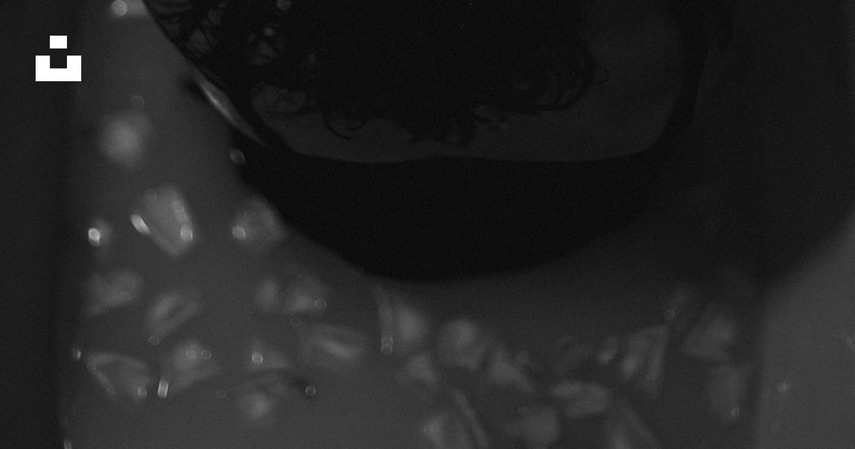 Foto Zum Thema Oben Ohne Mann In Badewanne Mit Wasser Kostenloses