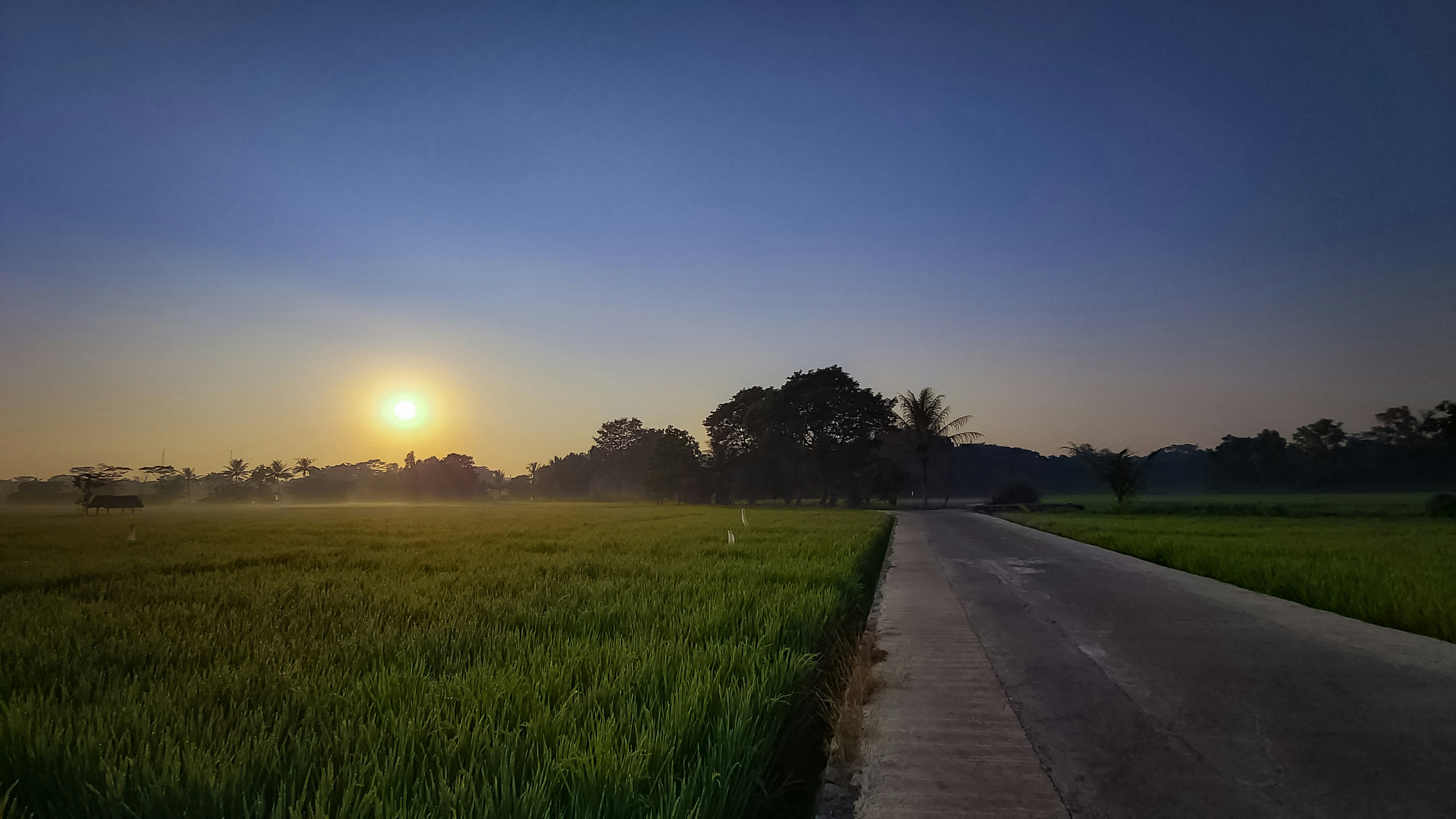 Morning sun rising over tranquil fields with a winding road leading into the distance.