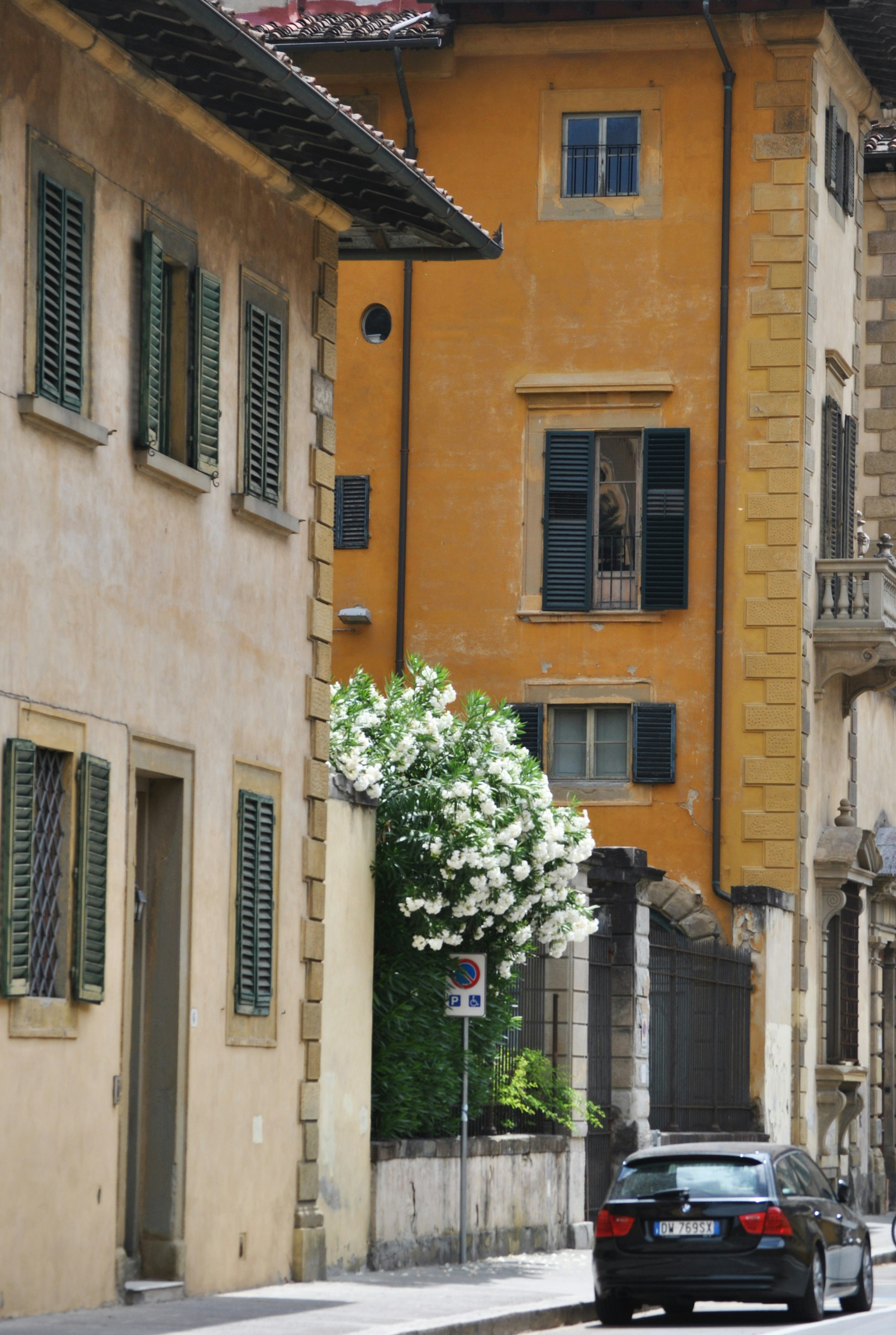 Charming street scene featuring a cluster of white flowers beside a historic building with green shutters. The warm hues of the walls contrast with the vibrant greenery.