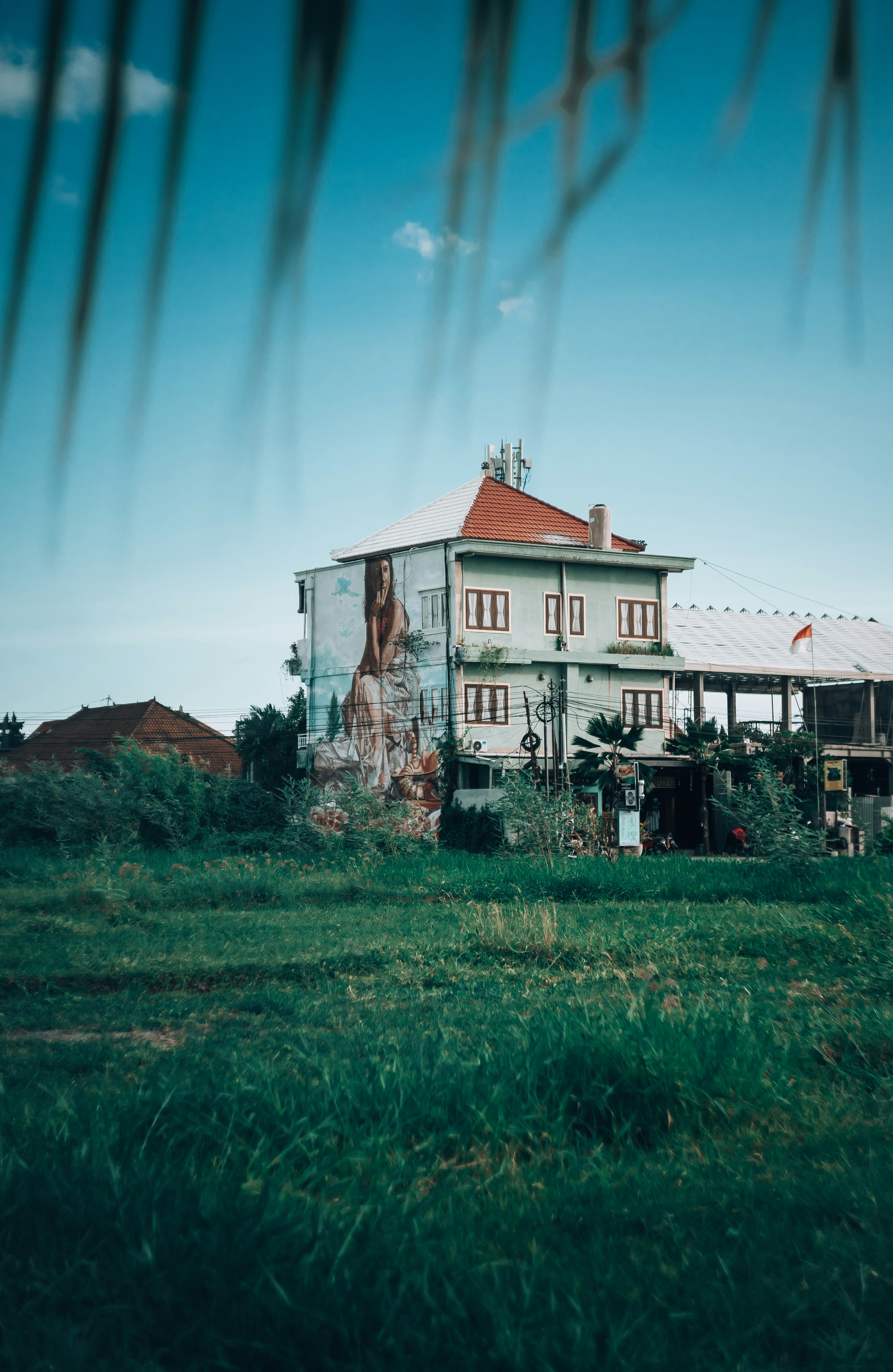 Muraled Oasis: A Two-Story House Surrounded by Green Field