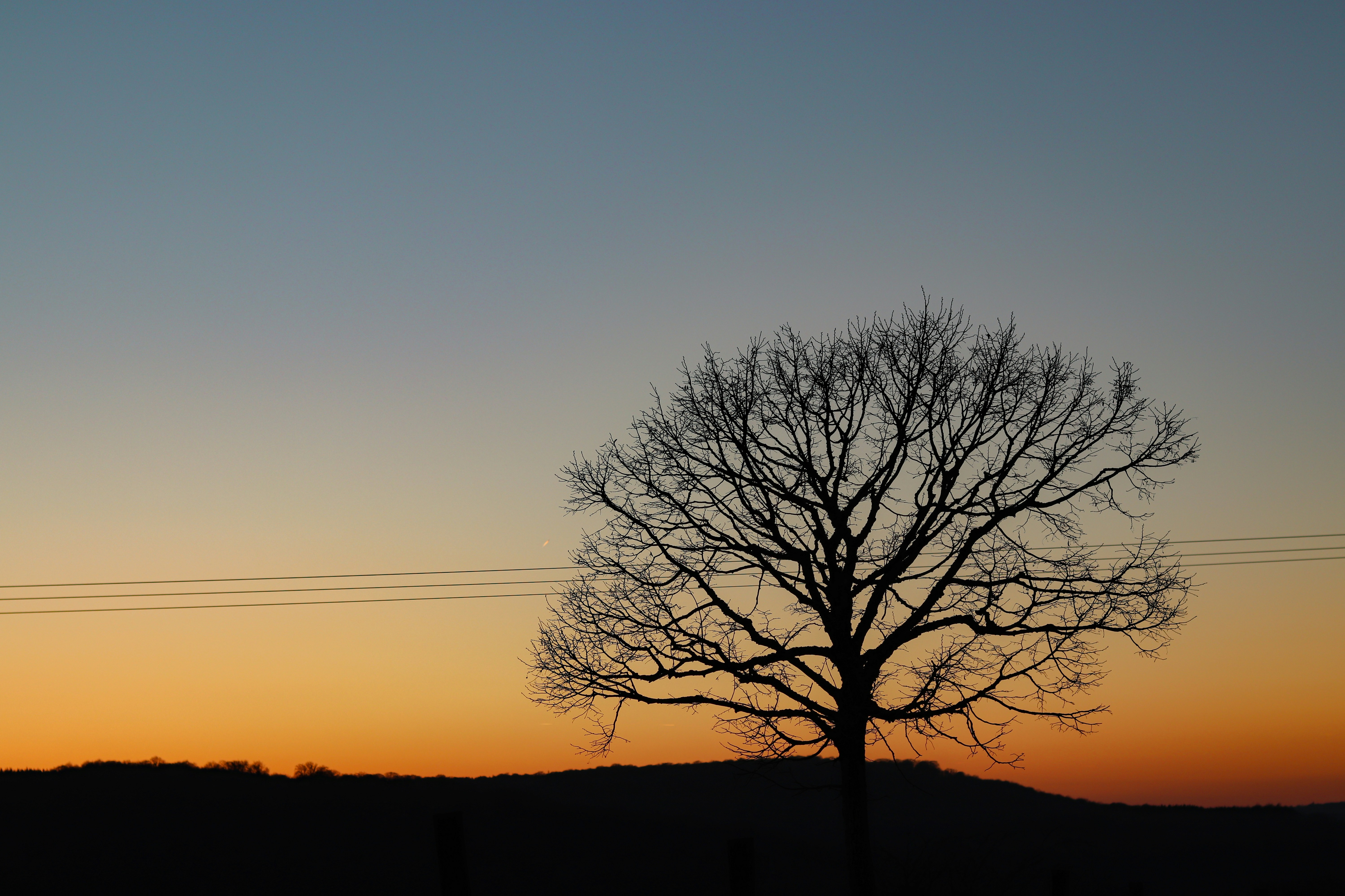 Best 500+ Noon Pictures | Download Free Images on Unsplash