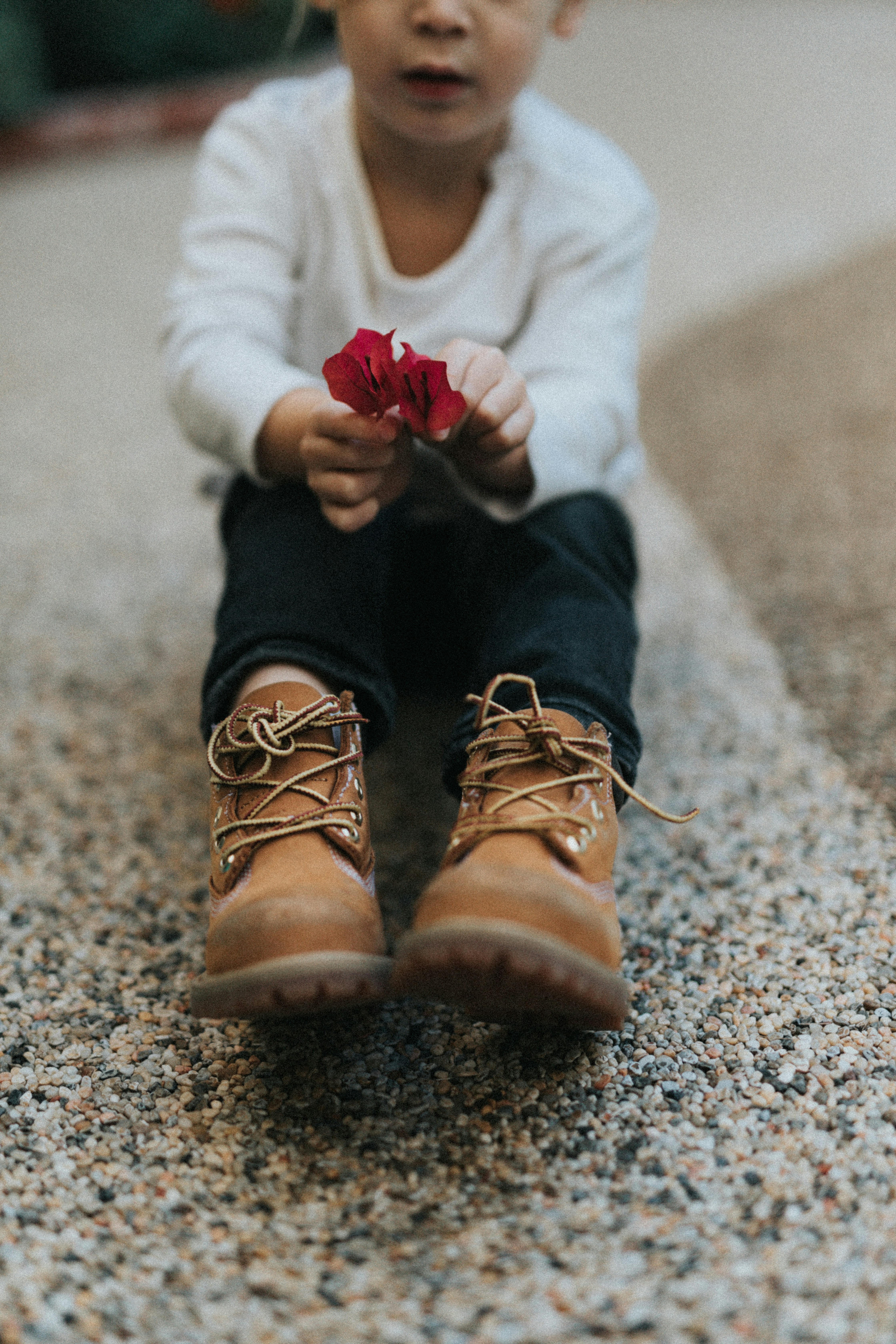 Petal Promise: A Child's Quiet Gesture on a Pebbled Path