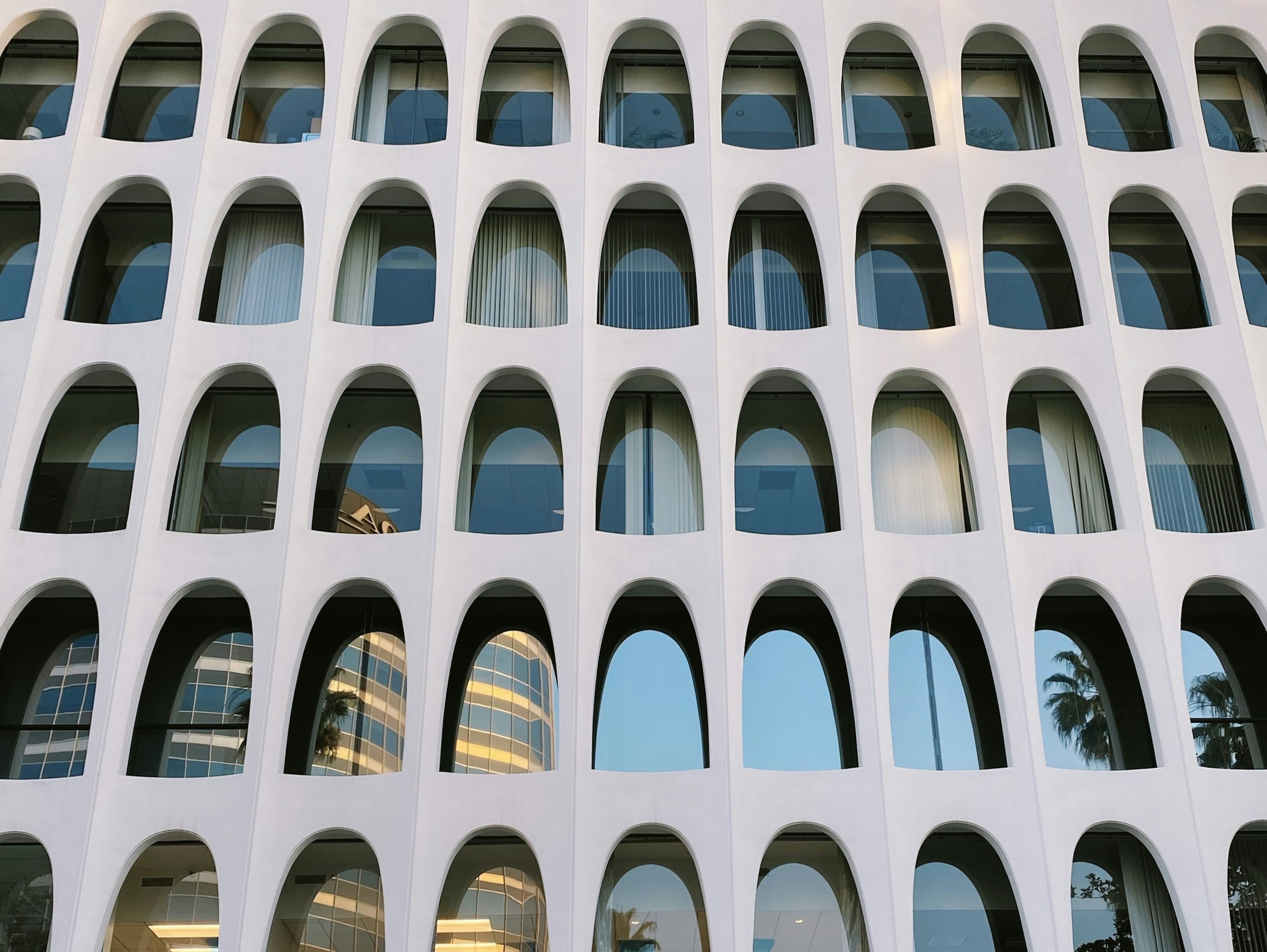 Sunlit Oval Grid: The Quiet Rhythm of a Facade