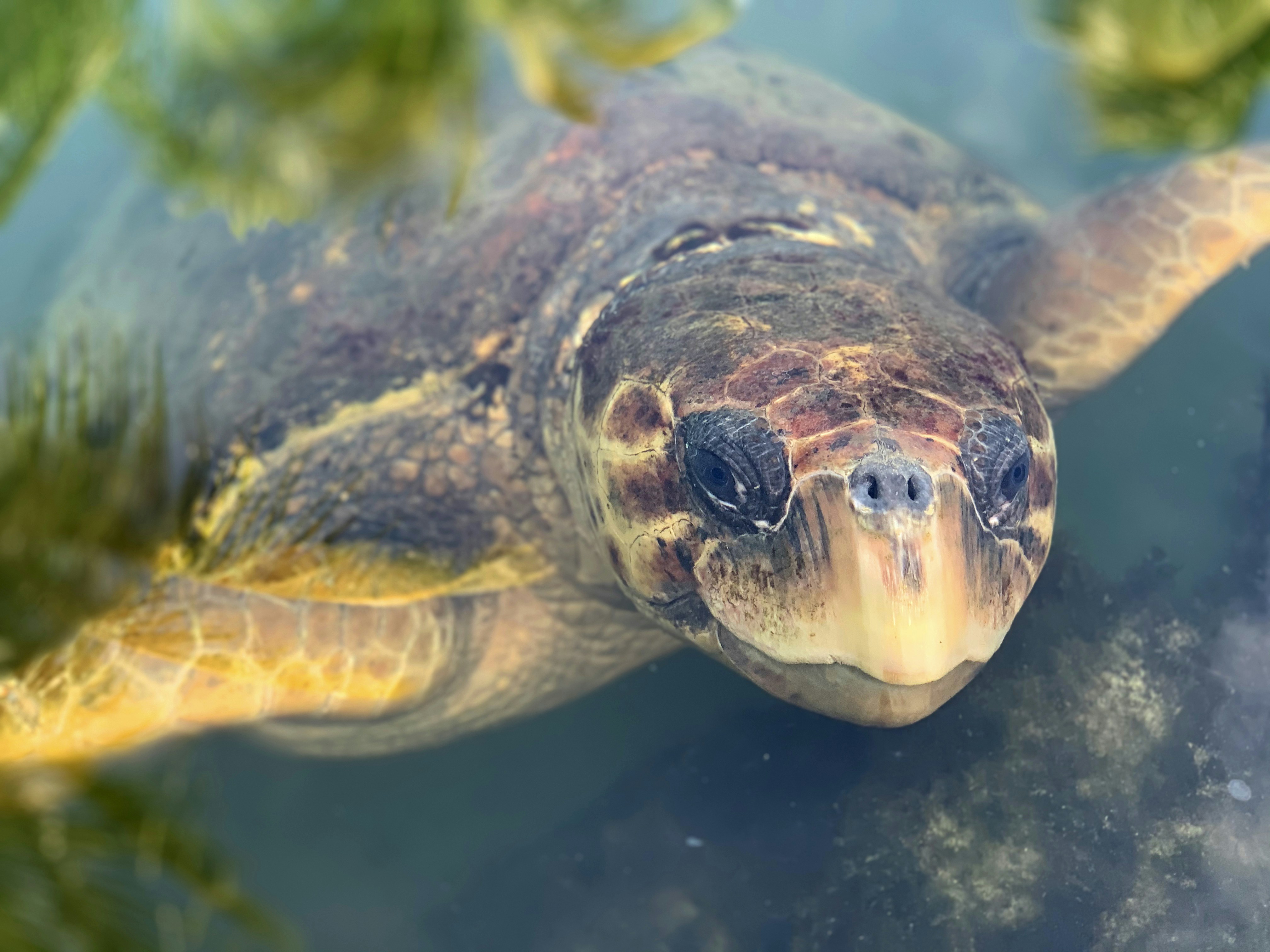 Jack Kelly (@jackkelly) | Communauté photos Unsplash