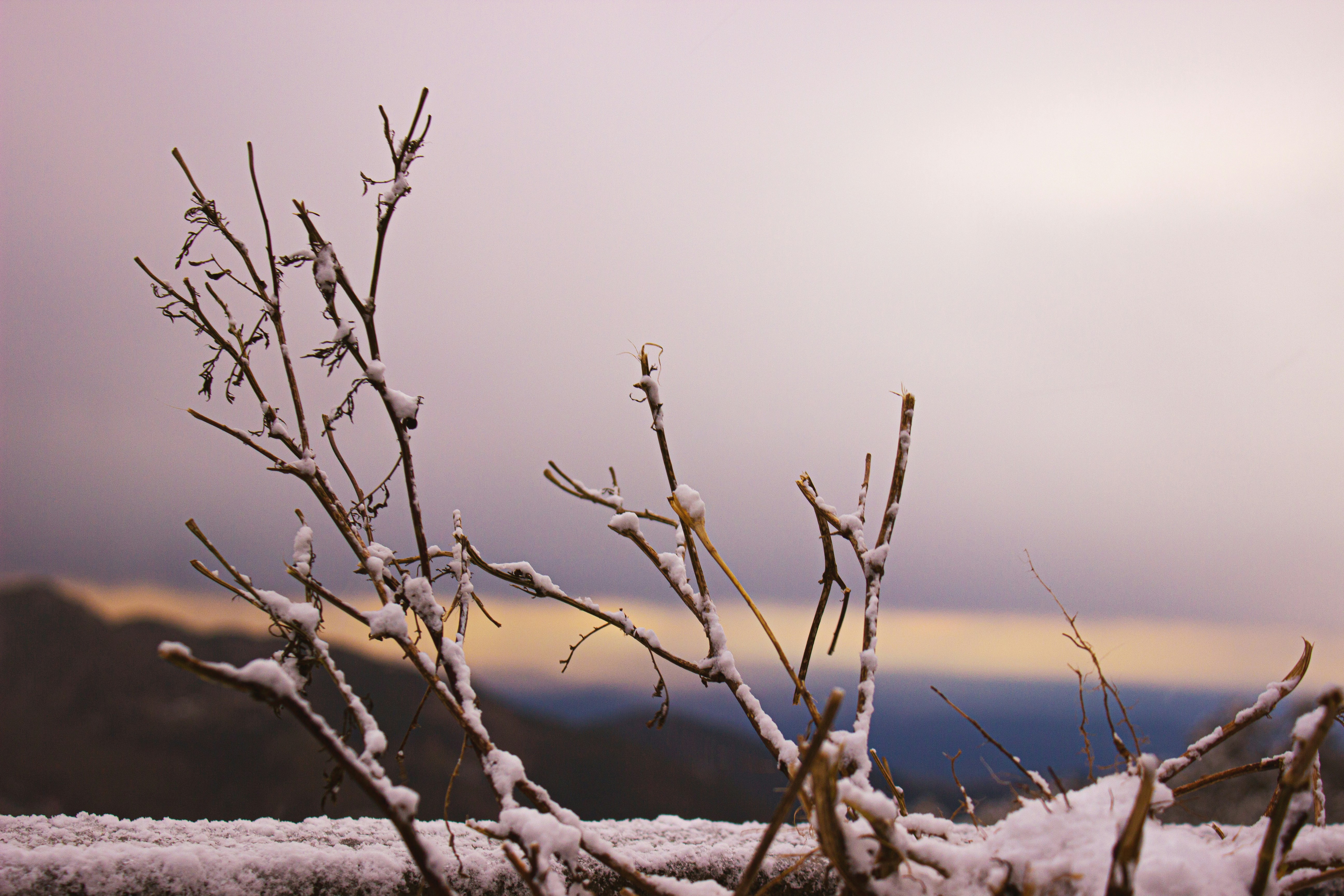 Rajat Kumar (@rajatk_31) | Comunidade de fotos da Unsplash