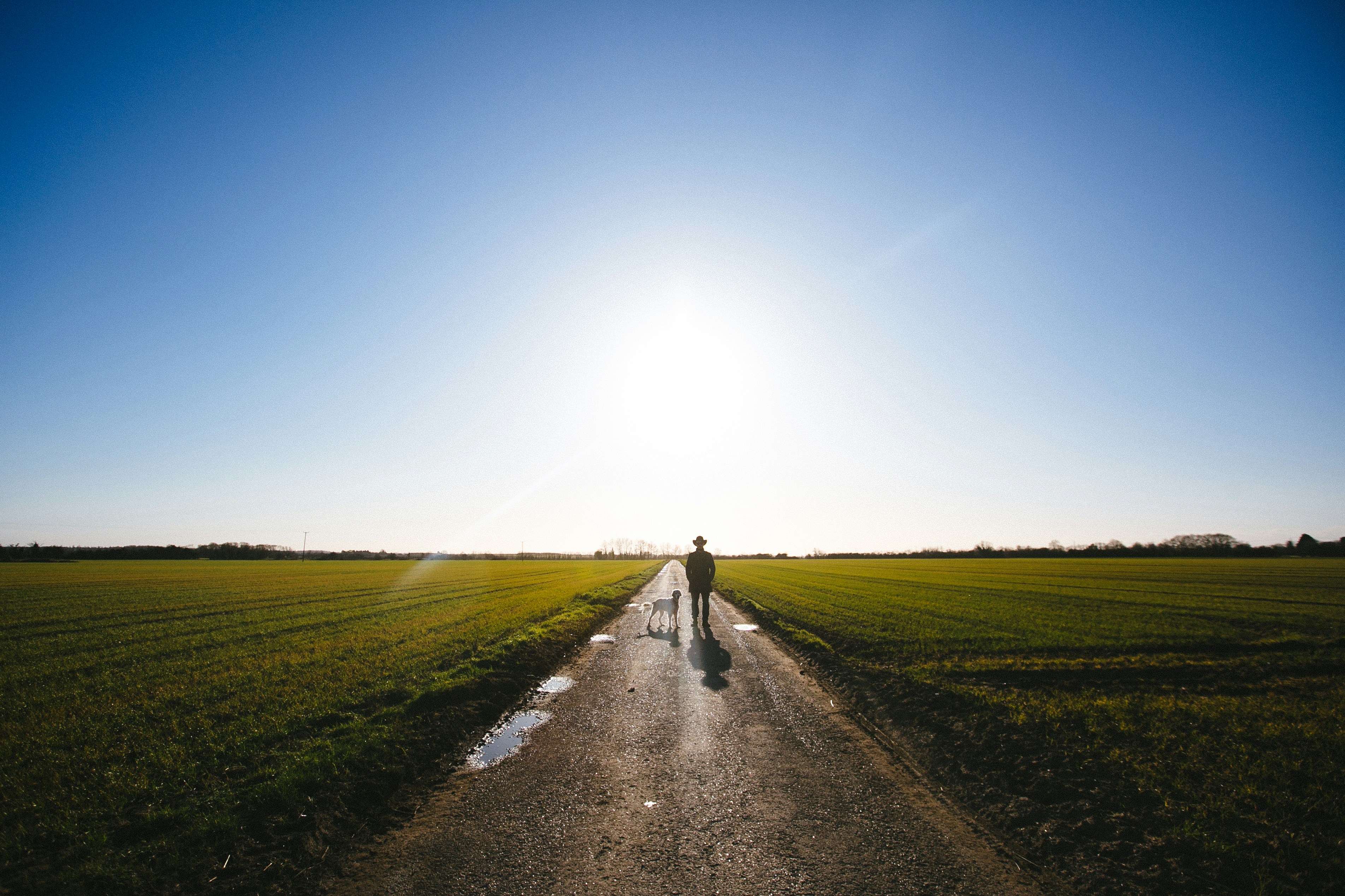 Person walking on gray asphalt road between green grass field during ...
