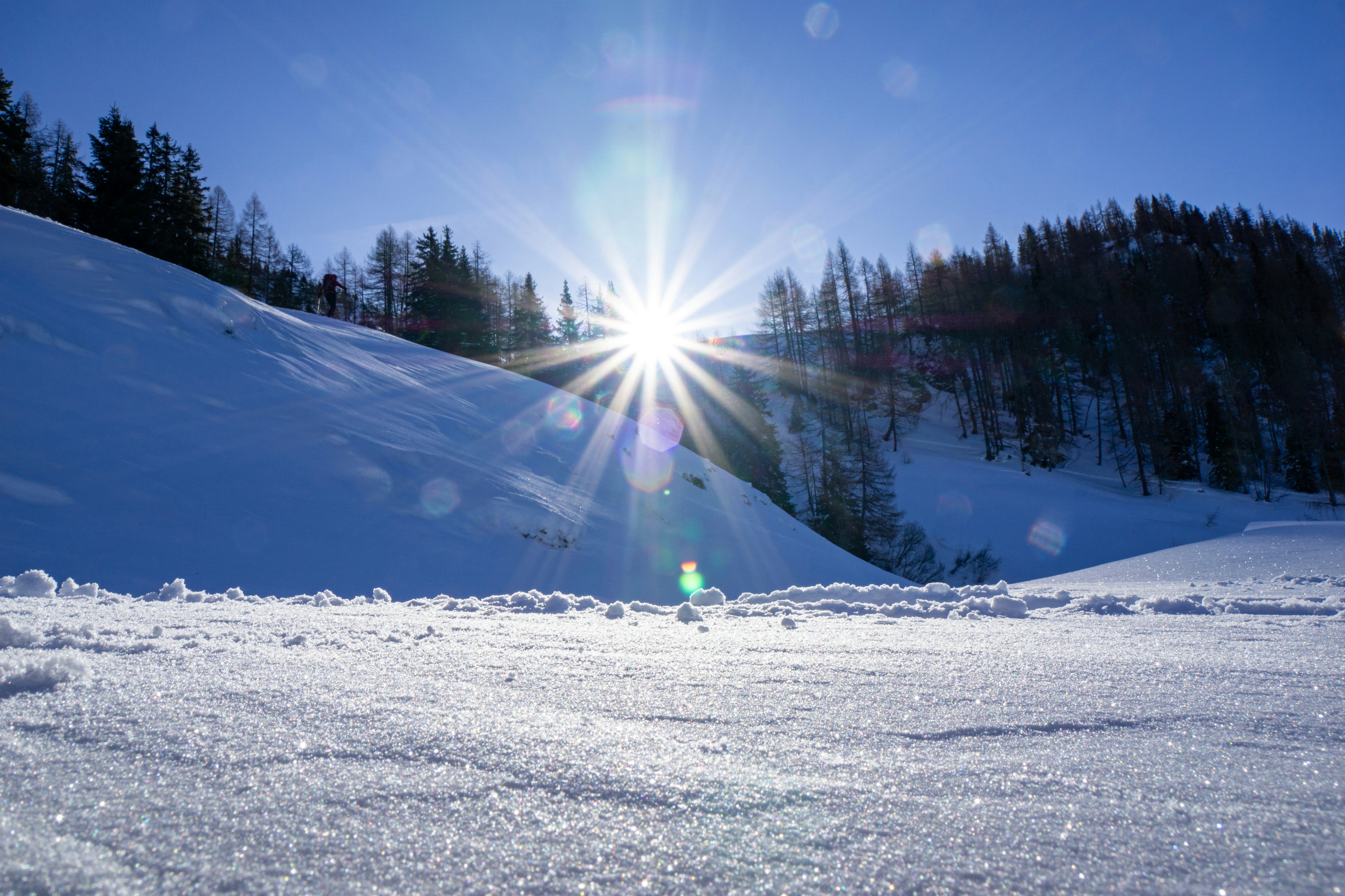 Sunlight streams over a snow-covered slope lined with sparse trees under a clear blue sky.