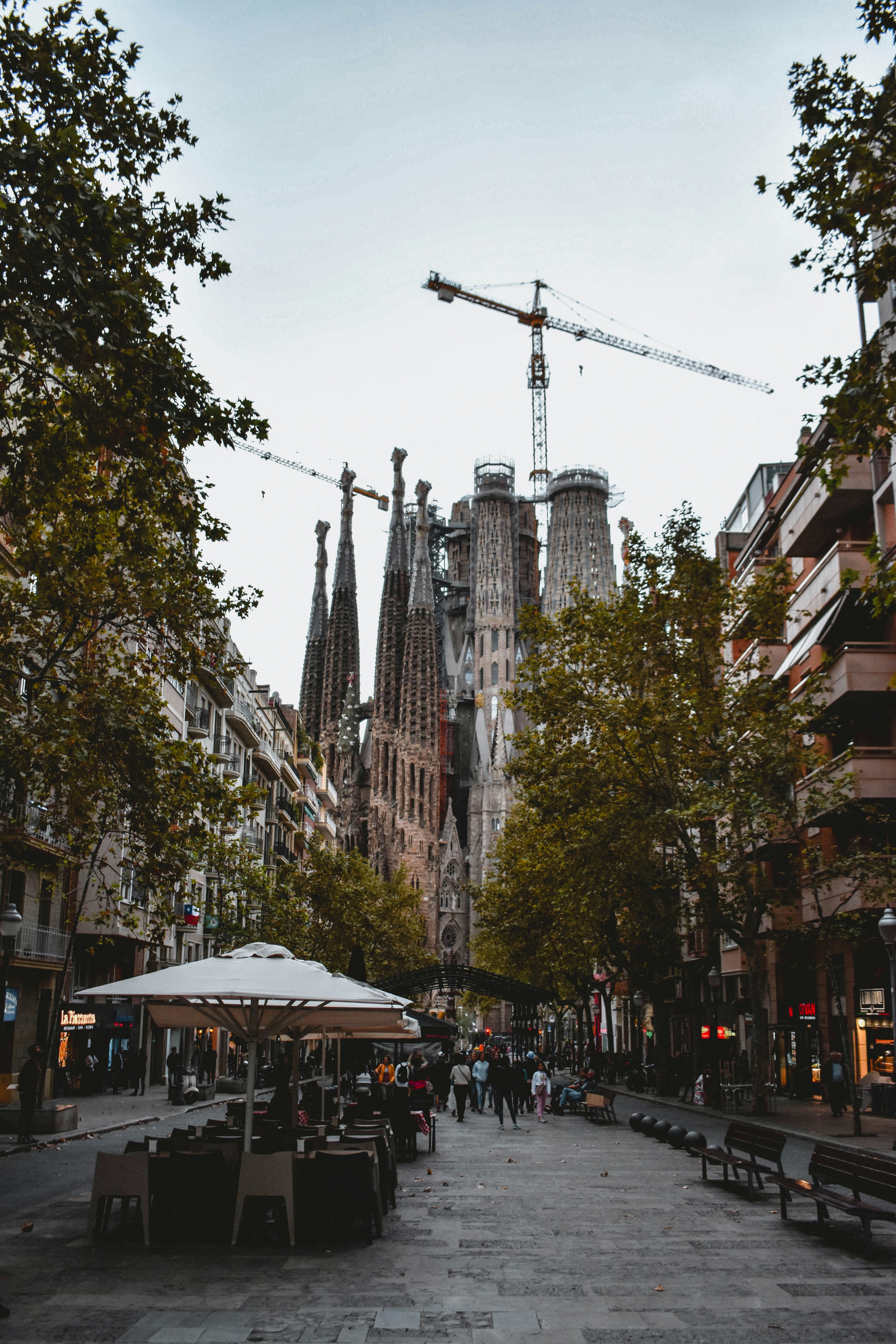 Sagrada Familia towers rise majestically amidst urban development, framed by leafy trees and bustling streets.