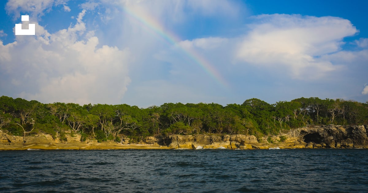 Green Trees Near Body Of Water Under Blue Sky And White Clouds During
