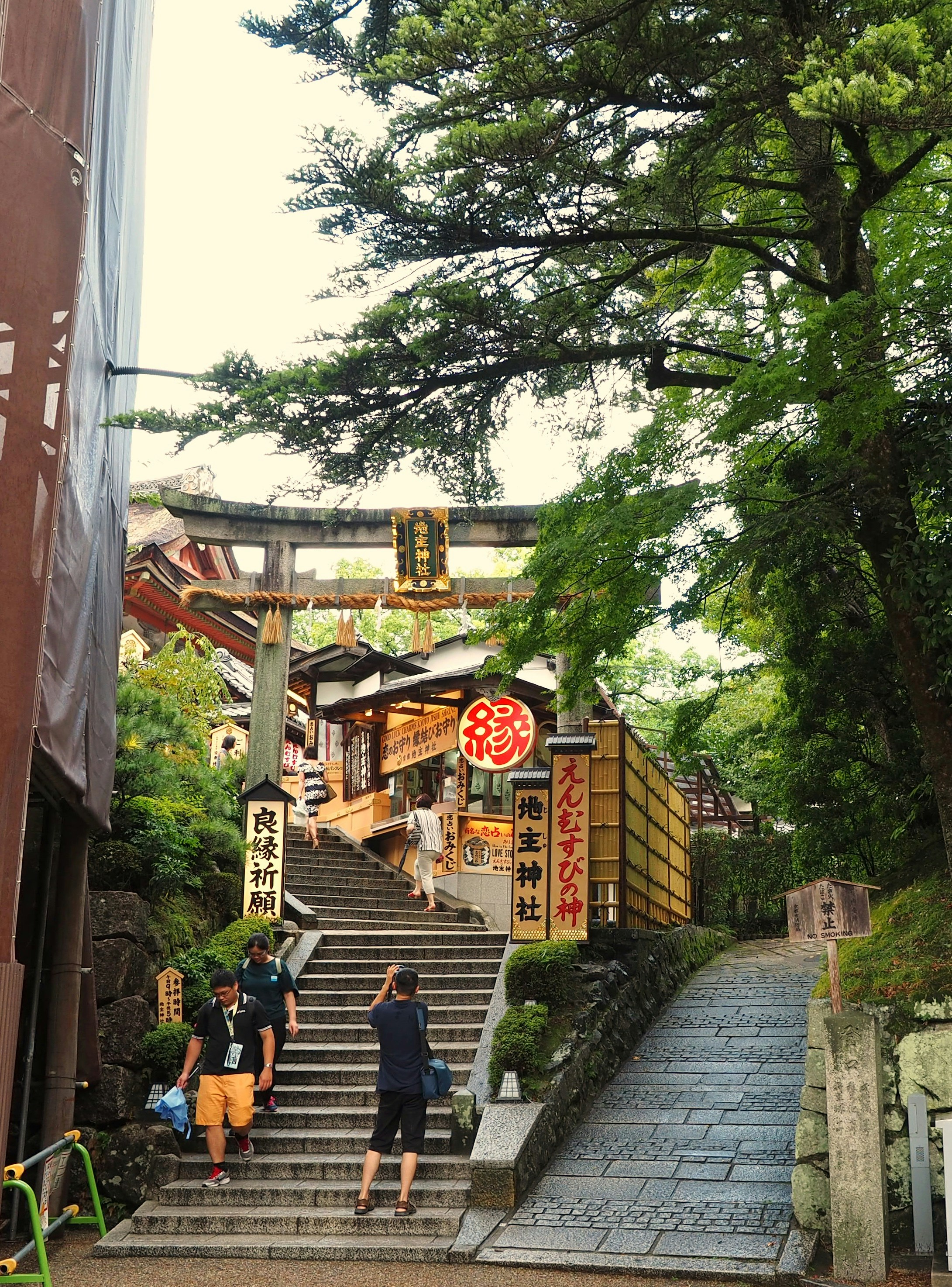 people walking on sidewalk near green trees during daytime