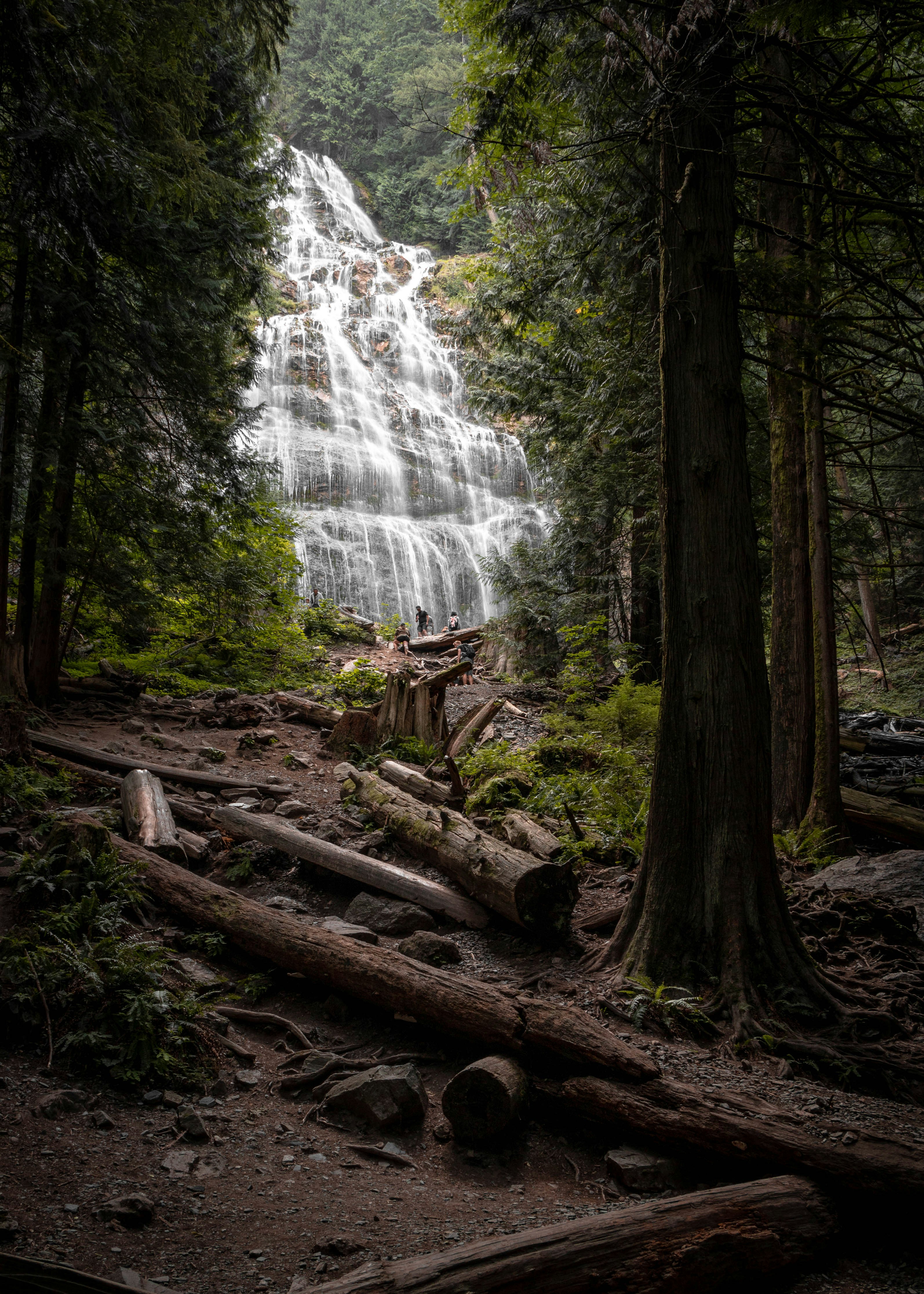 Photograph of a forest waterfall cascading down a rocky chute, framed by towering pines and a foreground of fallen logs, with hikers visible near the base.