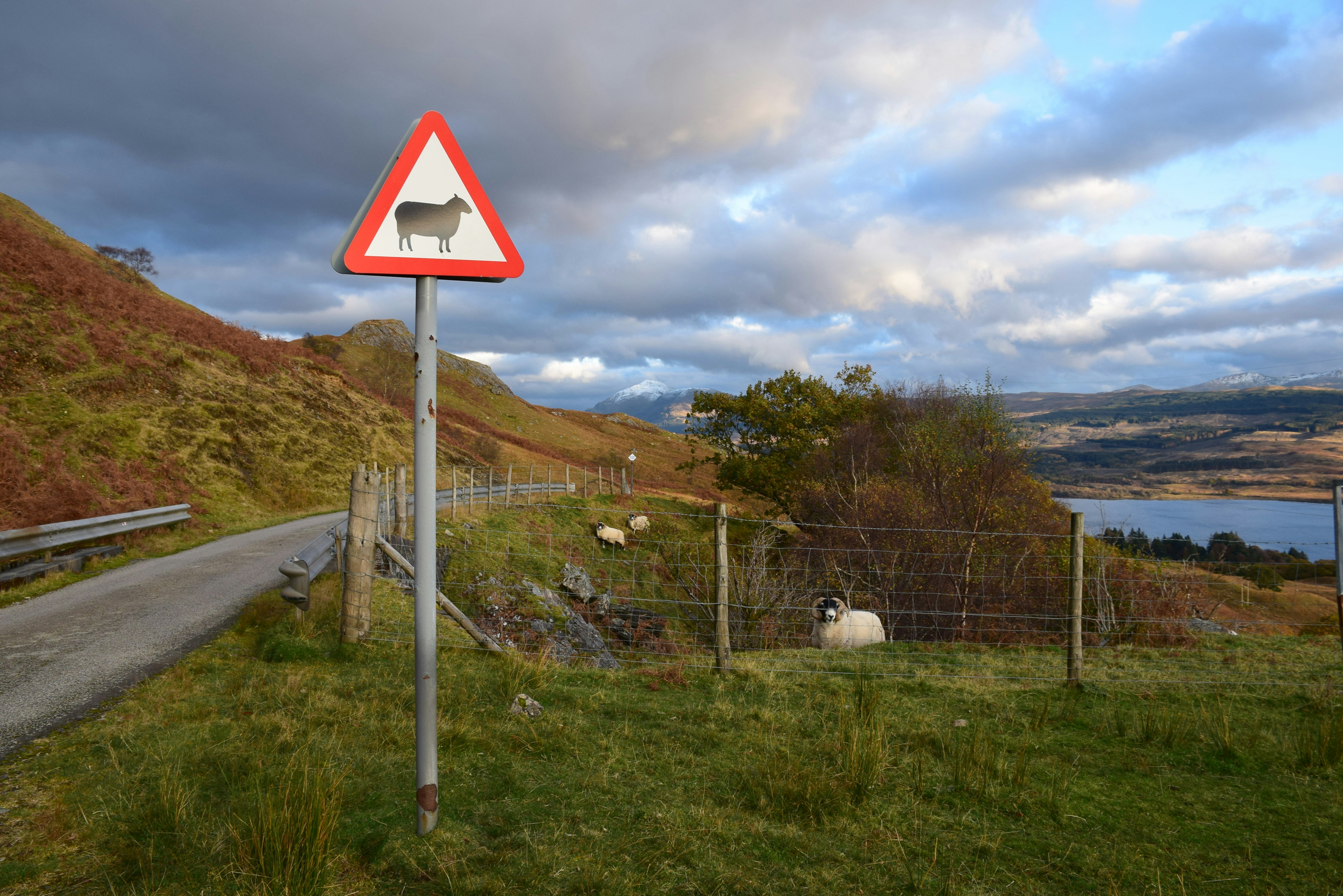 Damien Ramage (@damienramage) | Komunitas Foto Unsplash