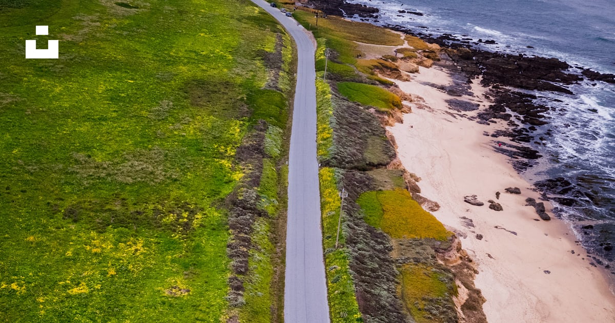 Green Grass Field Near Body Of Water During Daytime Photo Free Beach