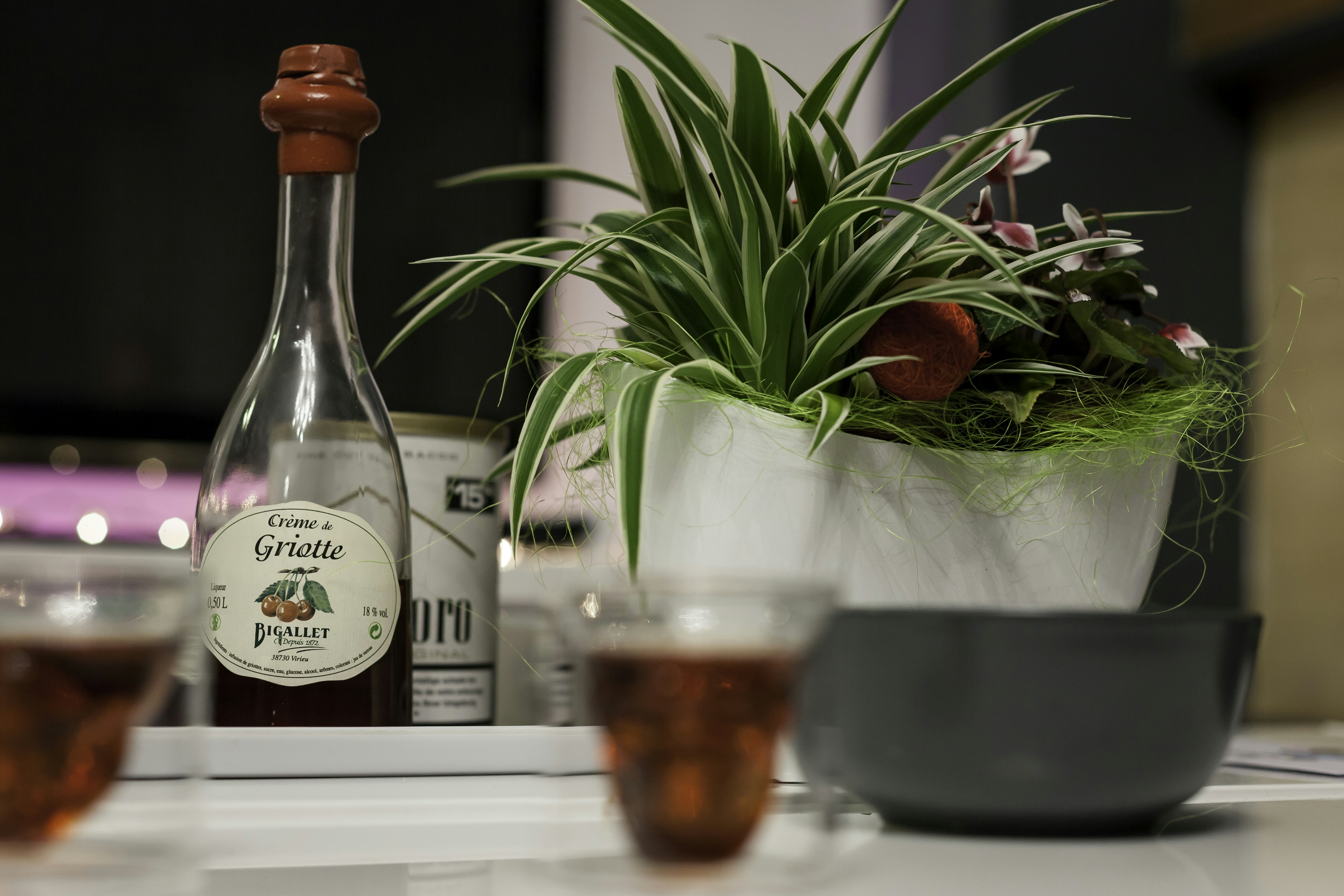 Crimson Bottle and Jade Foliage: A Quiet Table Still Life