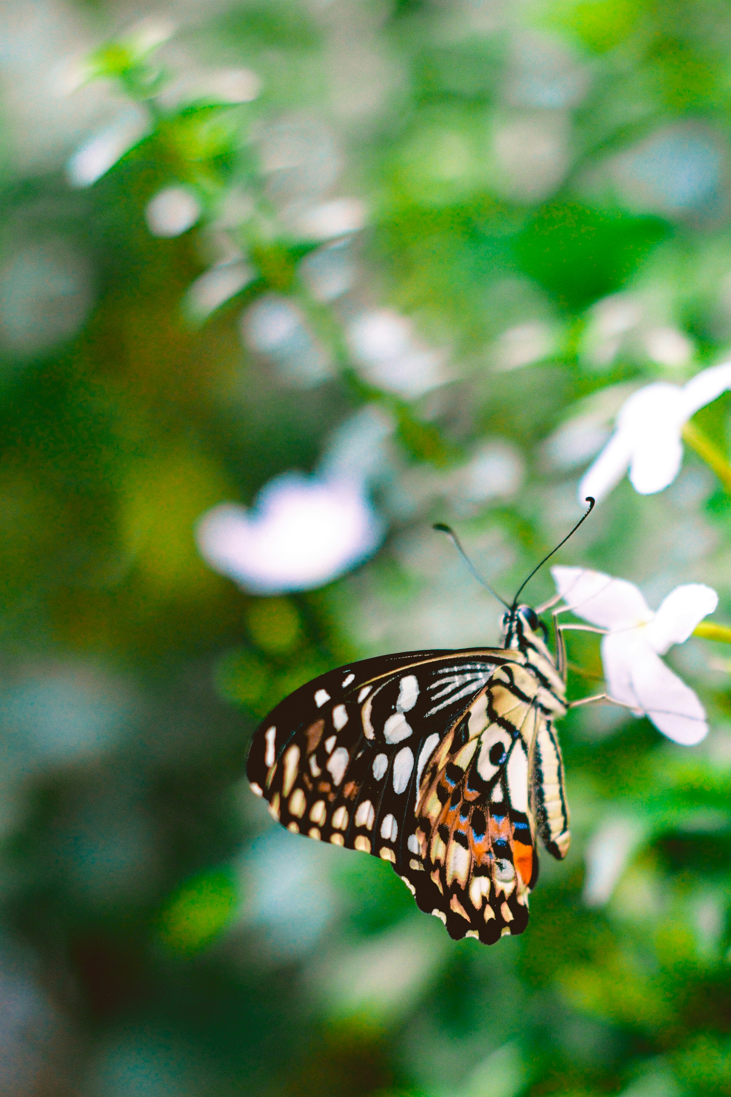 azees math (@azees_math) | Communauté photos Unsplash