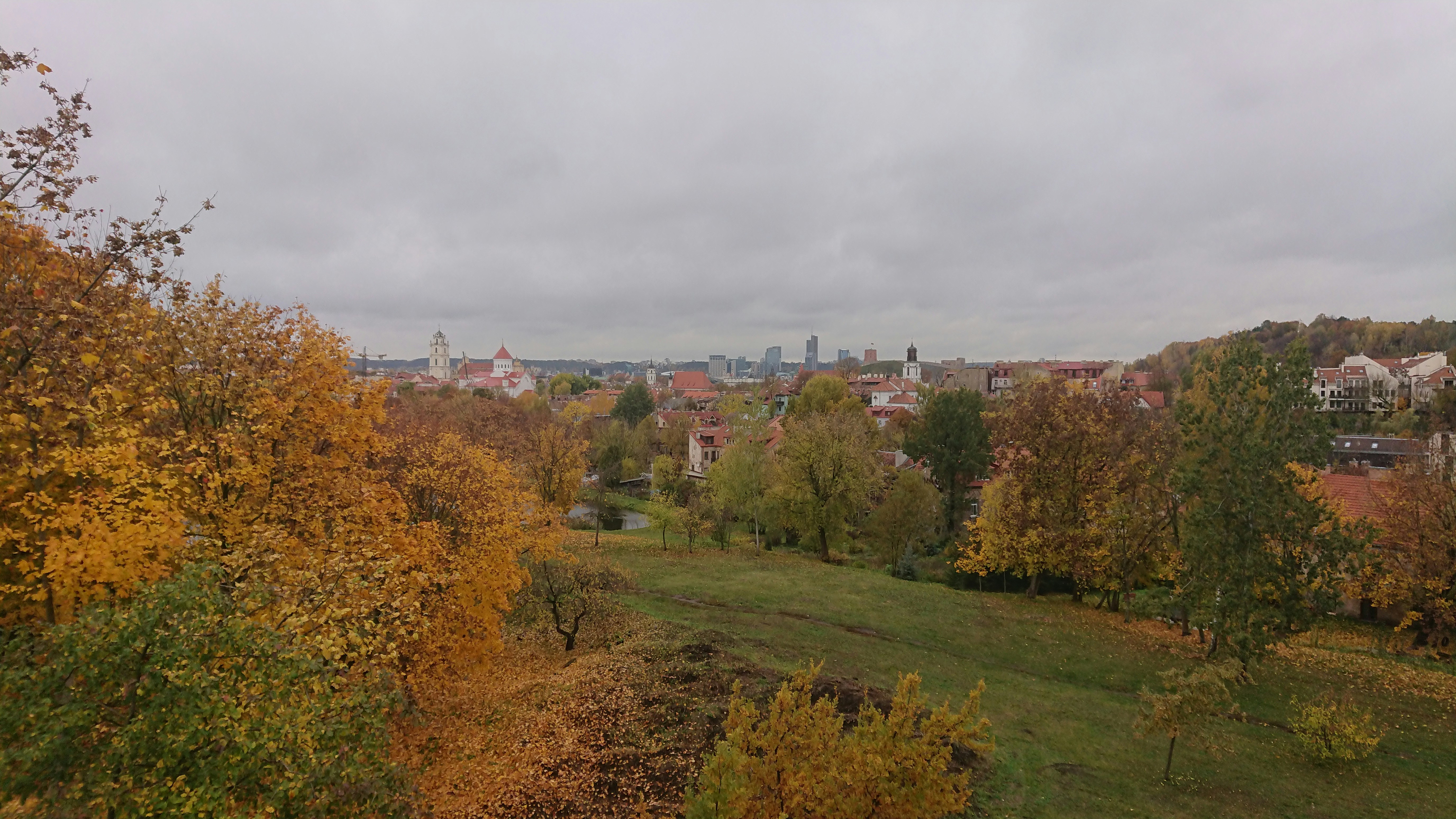 Vibrant autumn foliage frames a panoramic view of a city skyline under a cloudy sky. The scene captures the transition of seasons with rich colors.