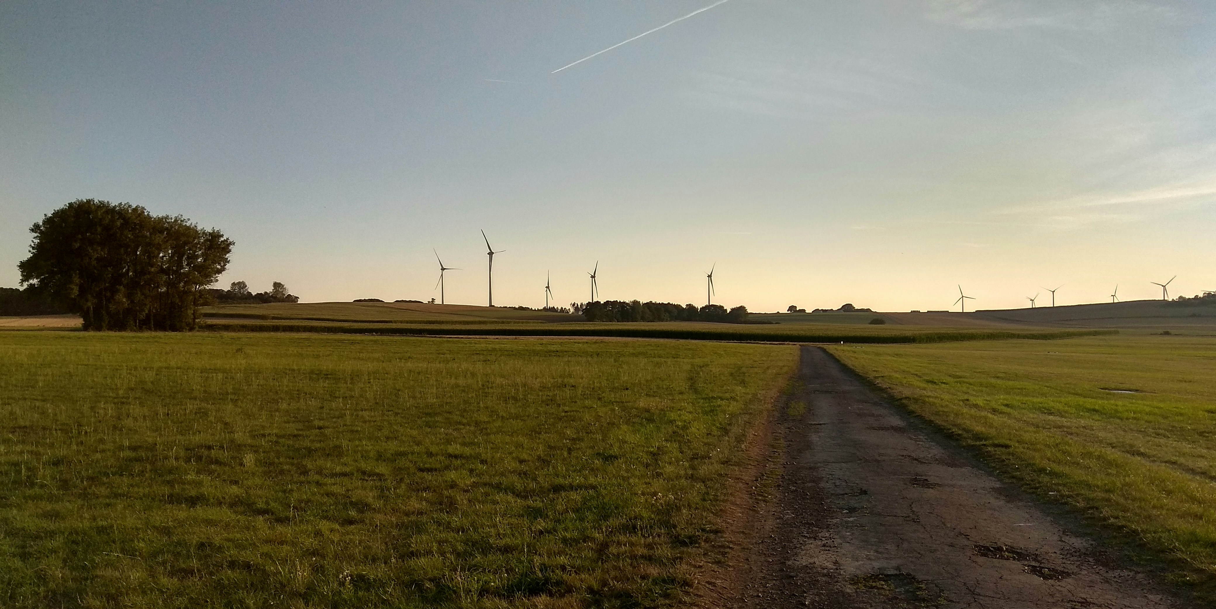 Expansive green field adjacent to a narrow road with distant wind turbines under a twilight sky.