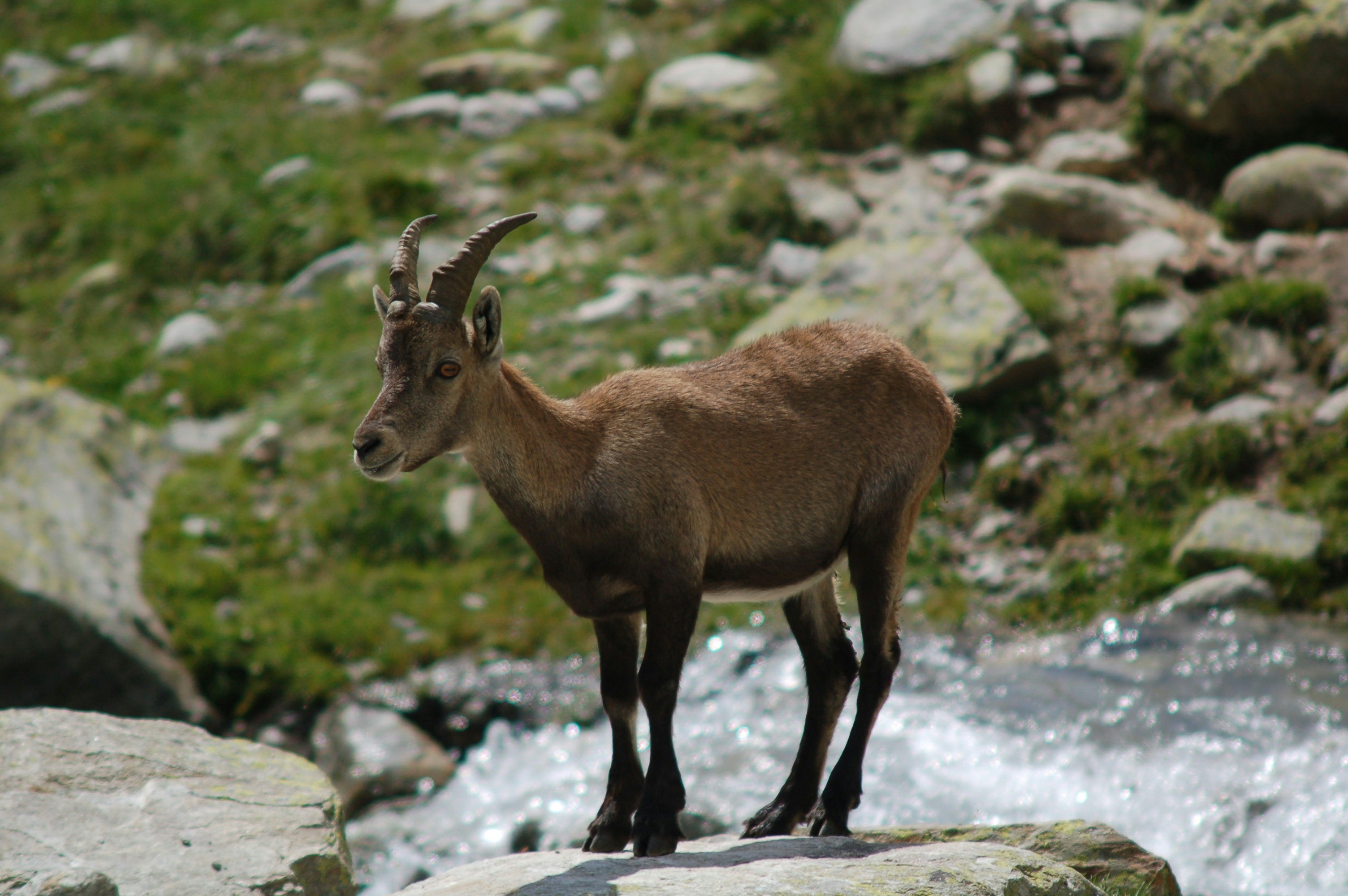 Niklas Buschmann (@niklasbuschmann) | Komunitas Foto Unsplash