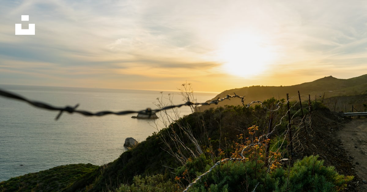 Green Grass Near Body Of Water During Sunset Photo Free Nature Image On Unsplash