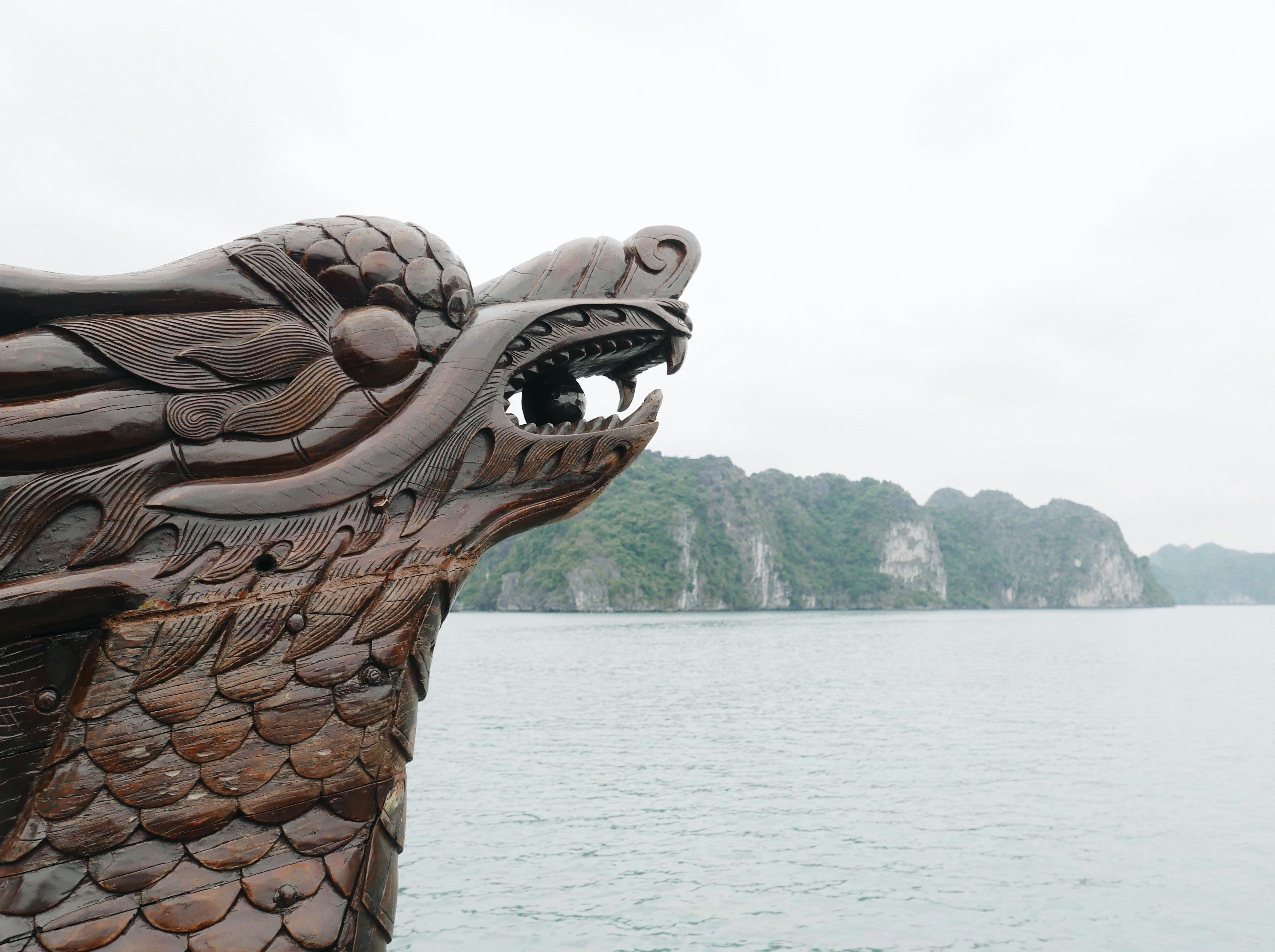 Dragon's Gaze over Blue Silence