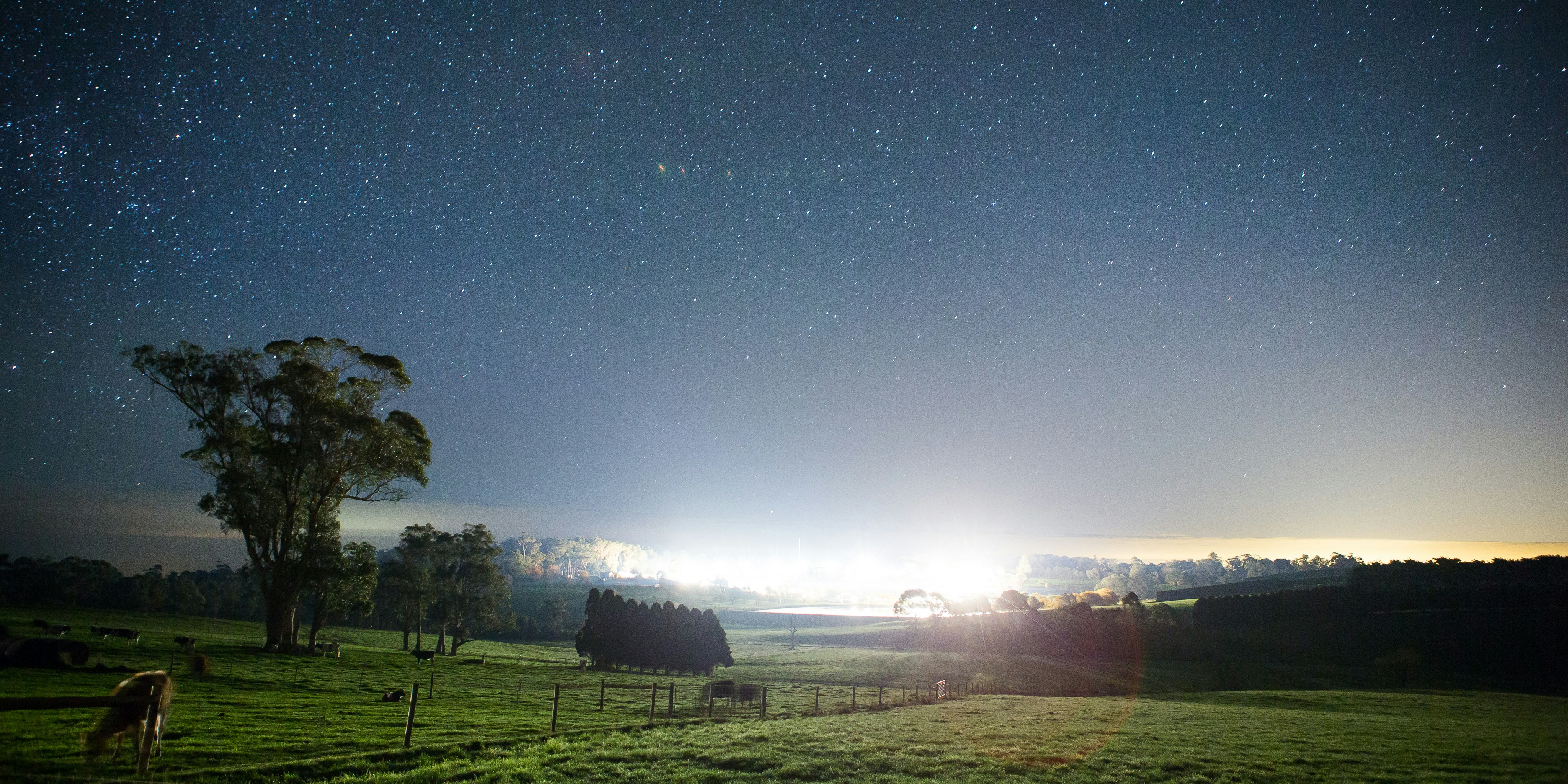 Dawn's Gilded Edge: Starry Sky Over a Quiet Pasture