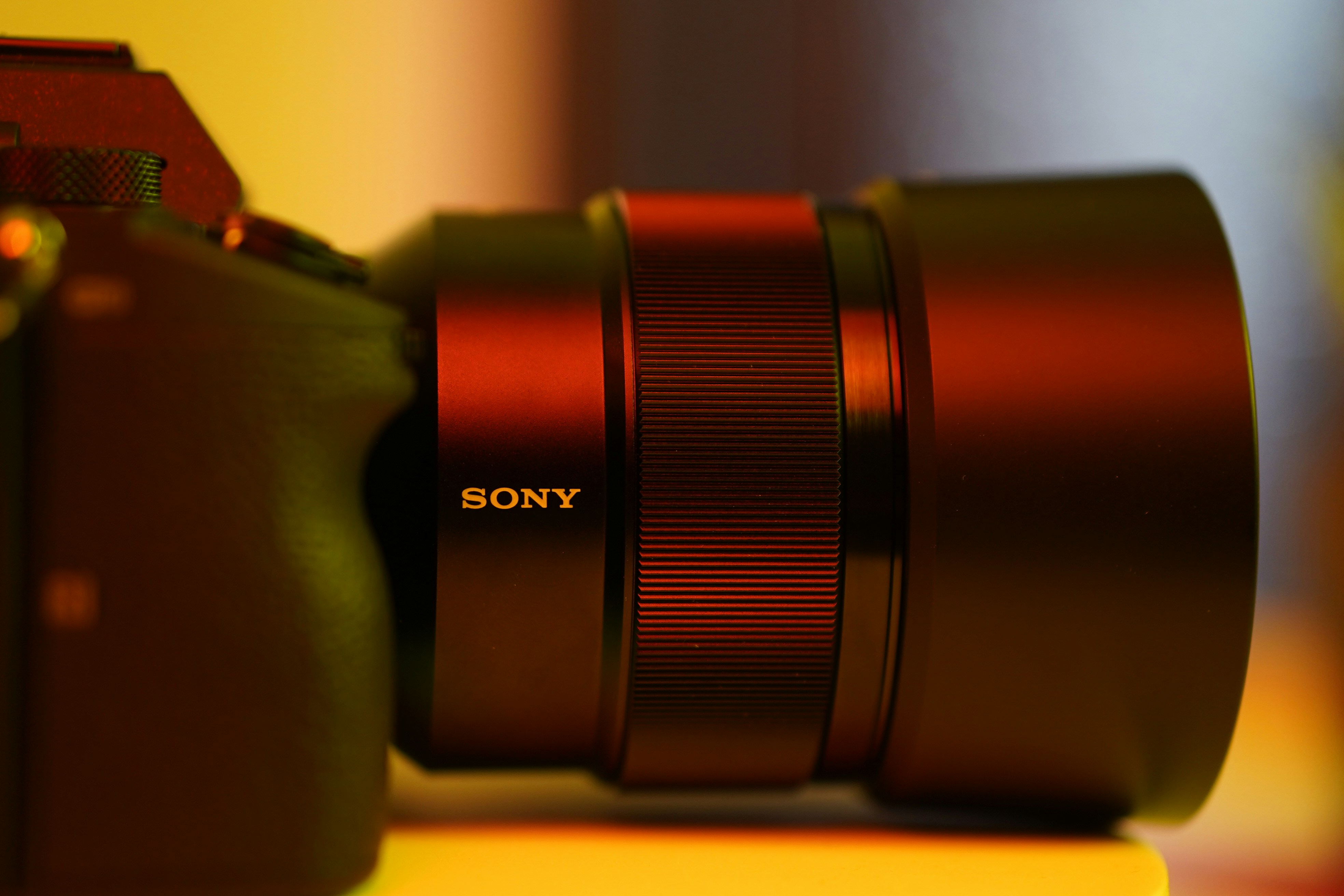 Ember-Glow Macro: The Quiet Precision of a Sony Lens