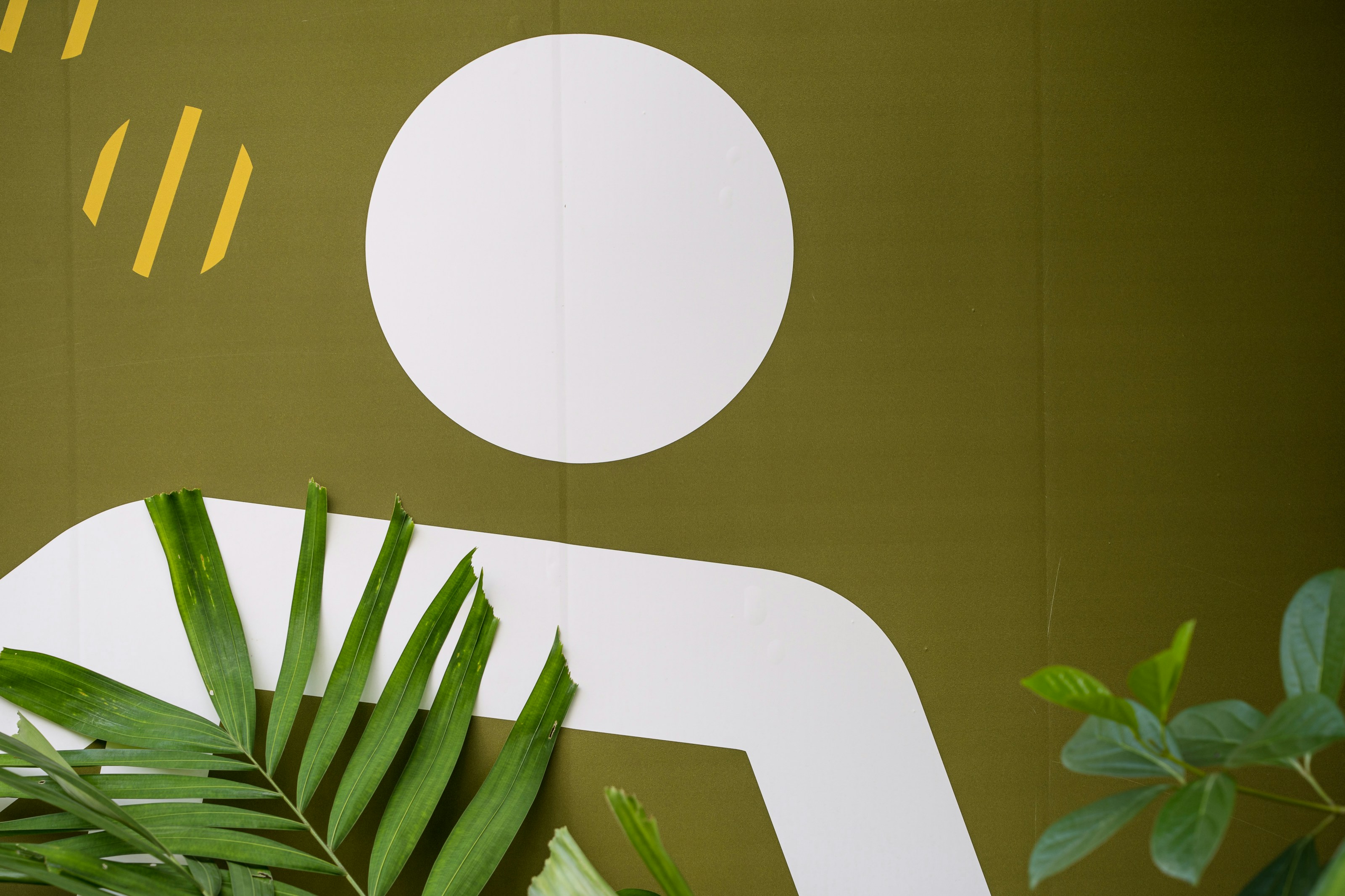 Palm-Frond Portrait: A Minimal Logo Surrounded by Tropical Greens