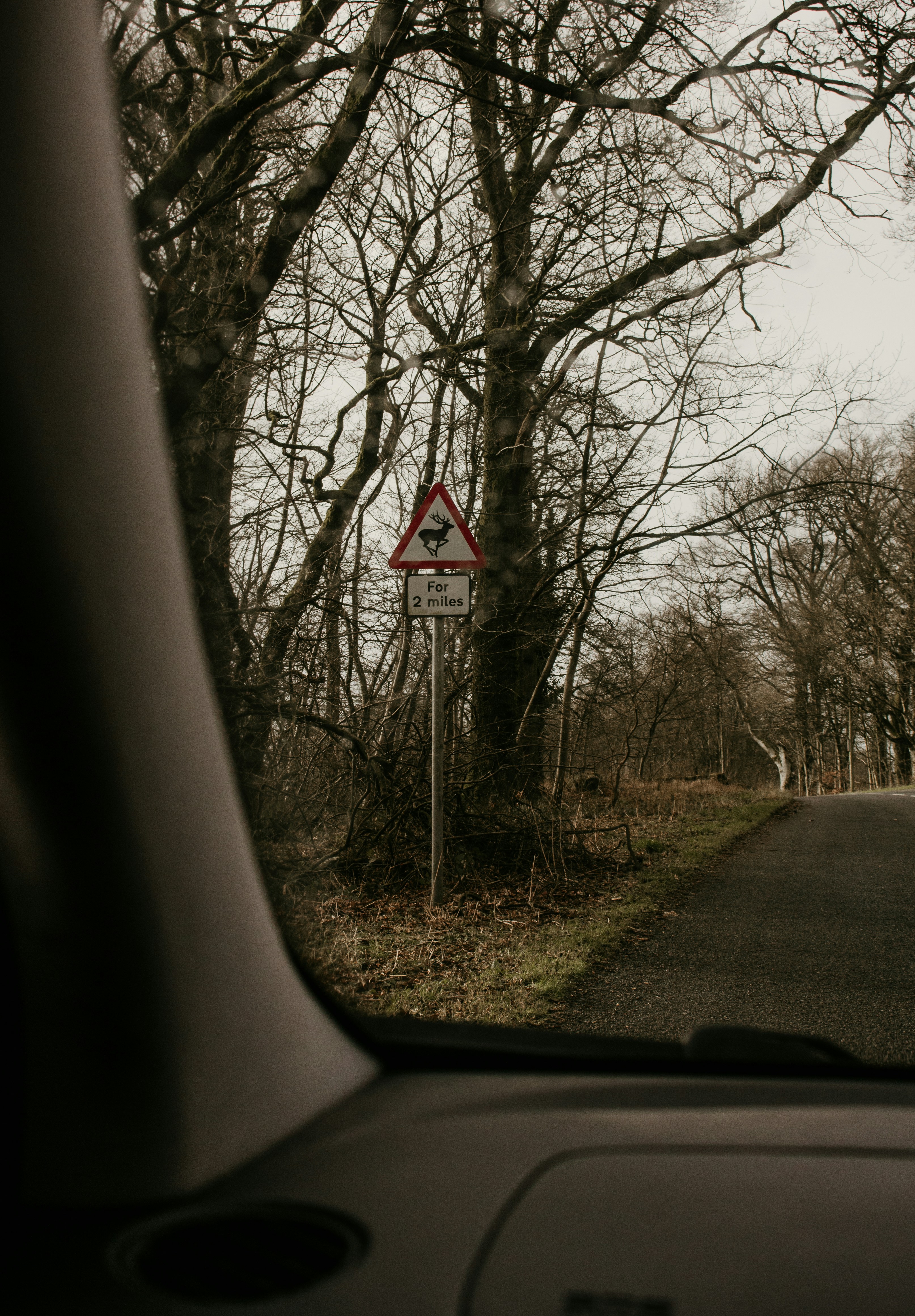 Red and white stop sign photo – Free Road sign Image on Unsplash
