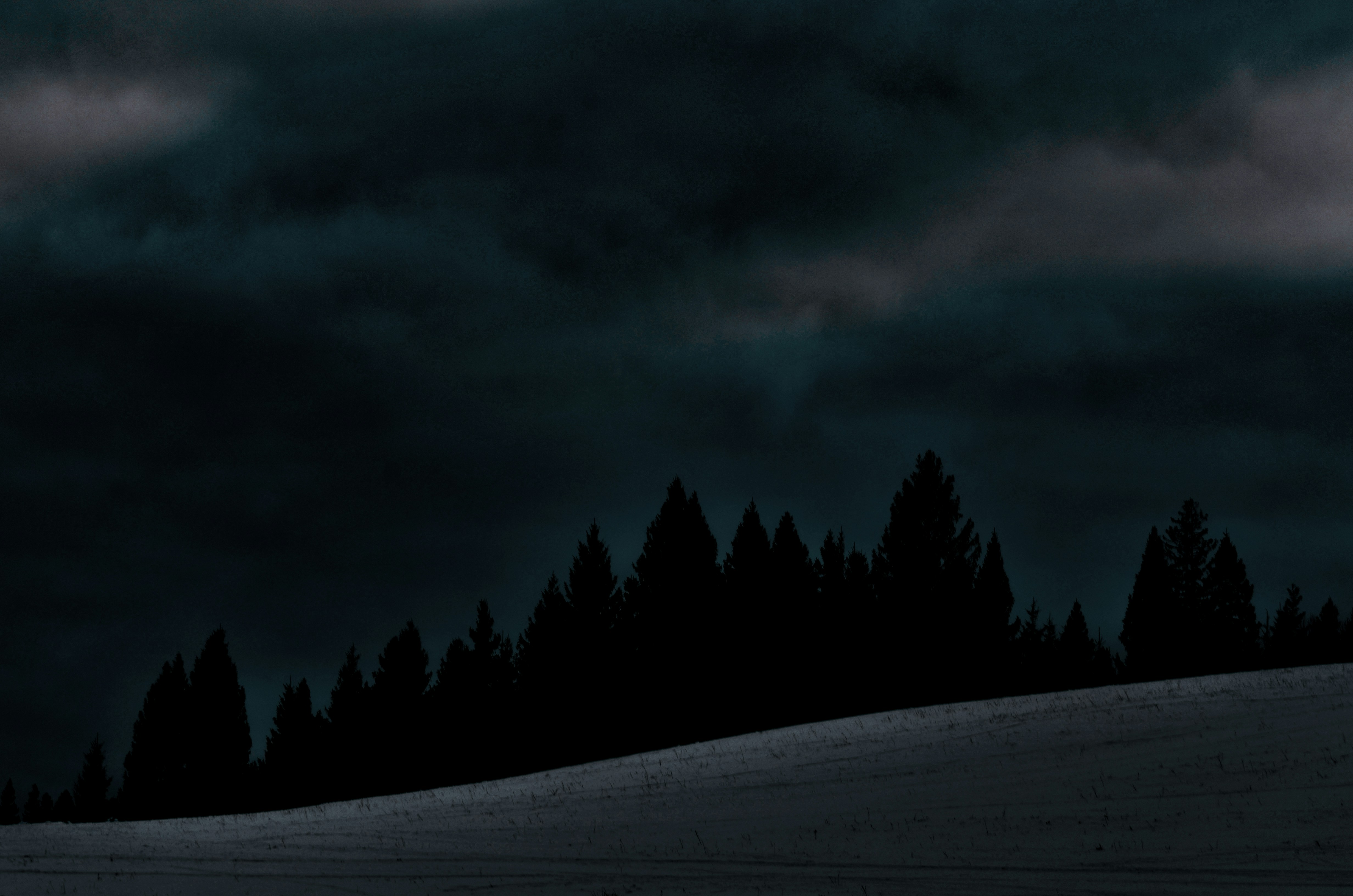 grayscale photo of trees under cloudy sky