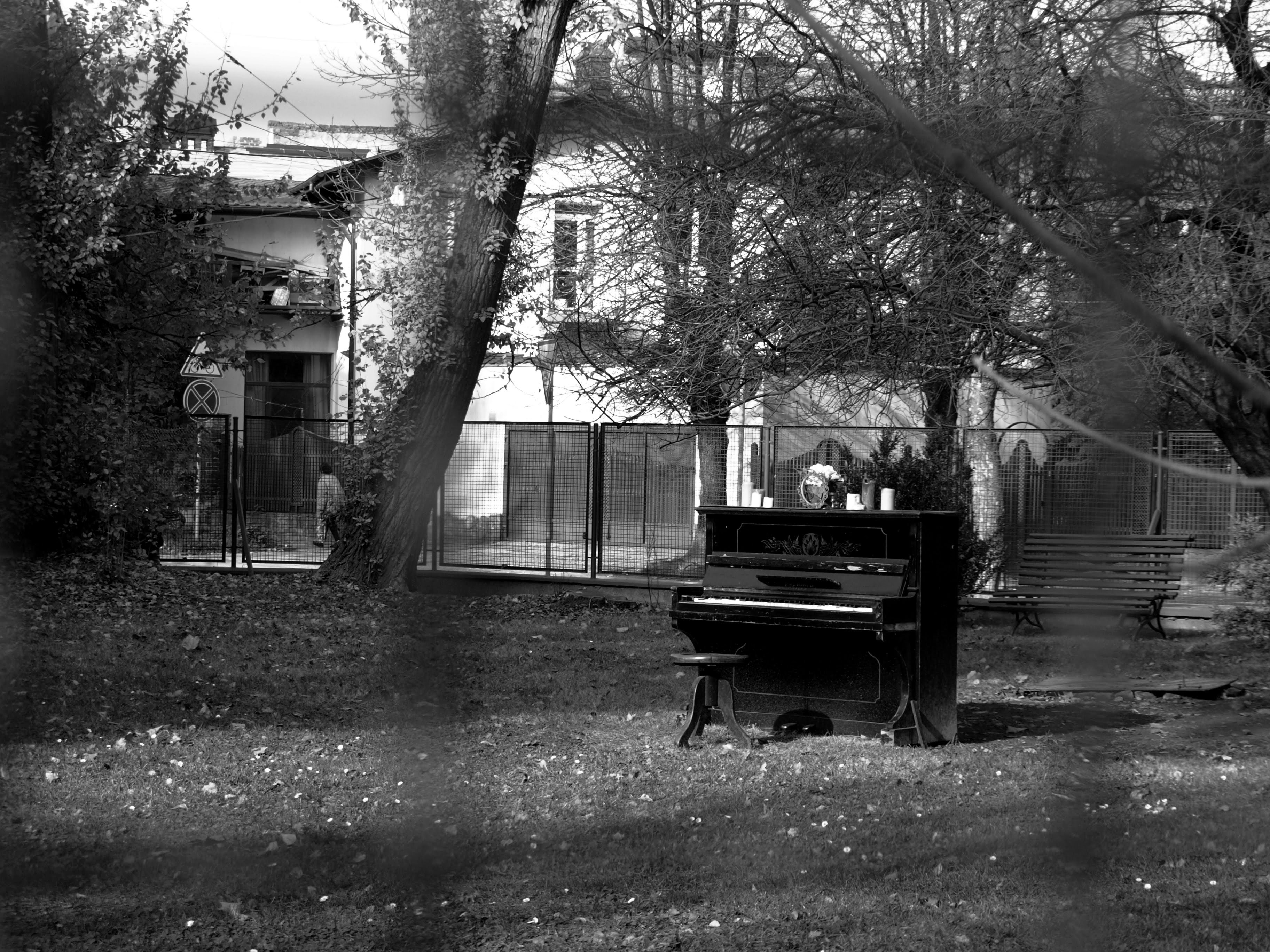 Forgotten melody in the park: a lone piano under bare trees