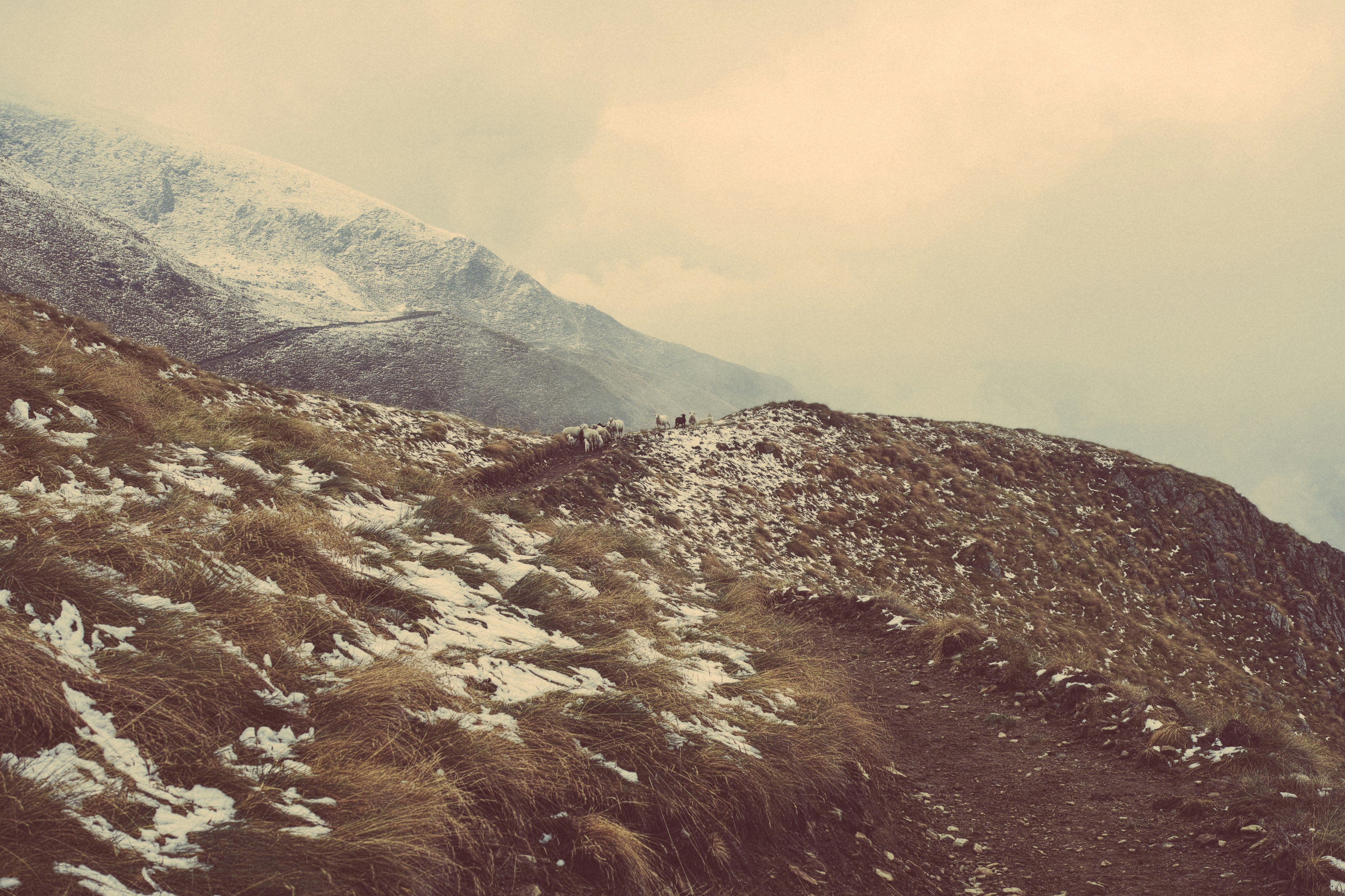 Définition de ainsité | Dictionnaire français