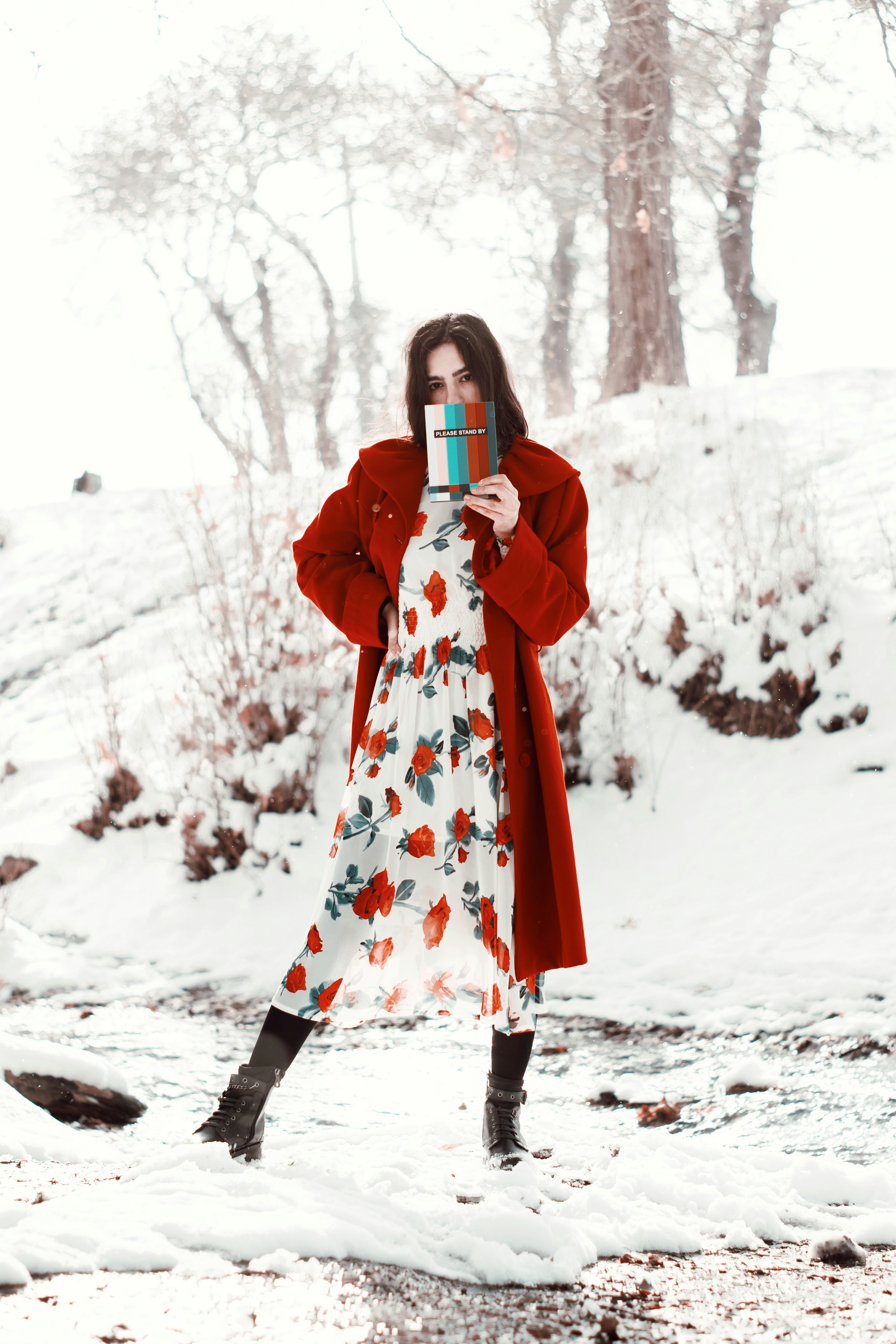 Crimson Coat in Snow: Reading Amid Winter Light