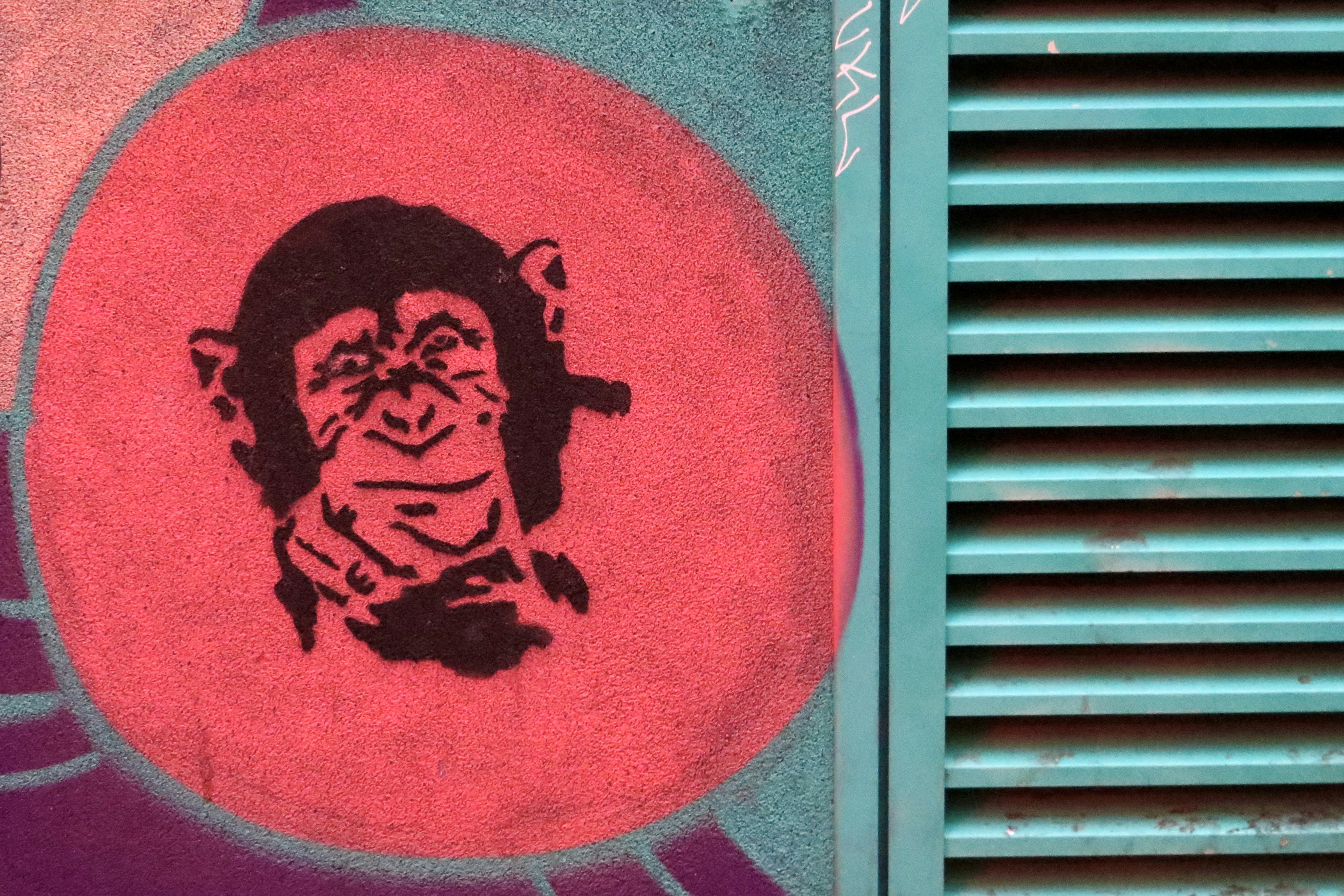 Red circular graffiti illustration of a smiling monkey on a teal wall with horizontal vent slats.