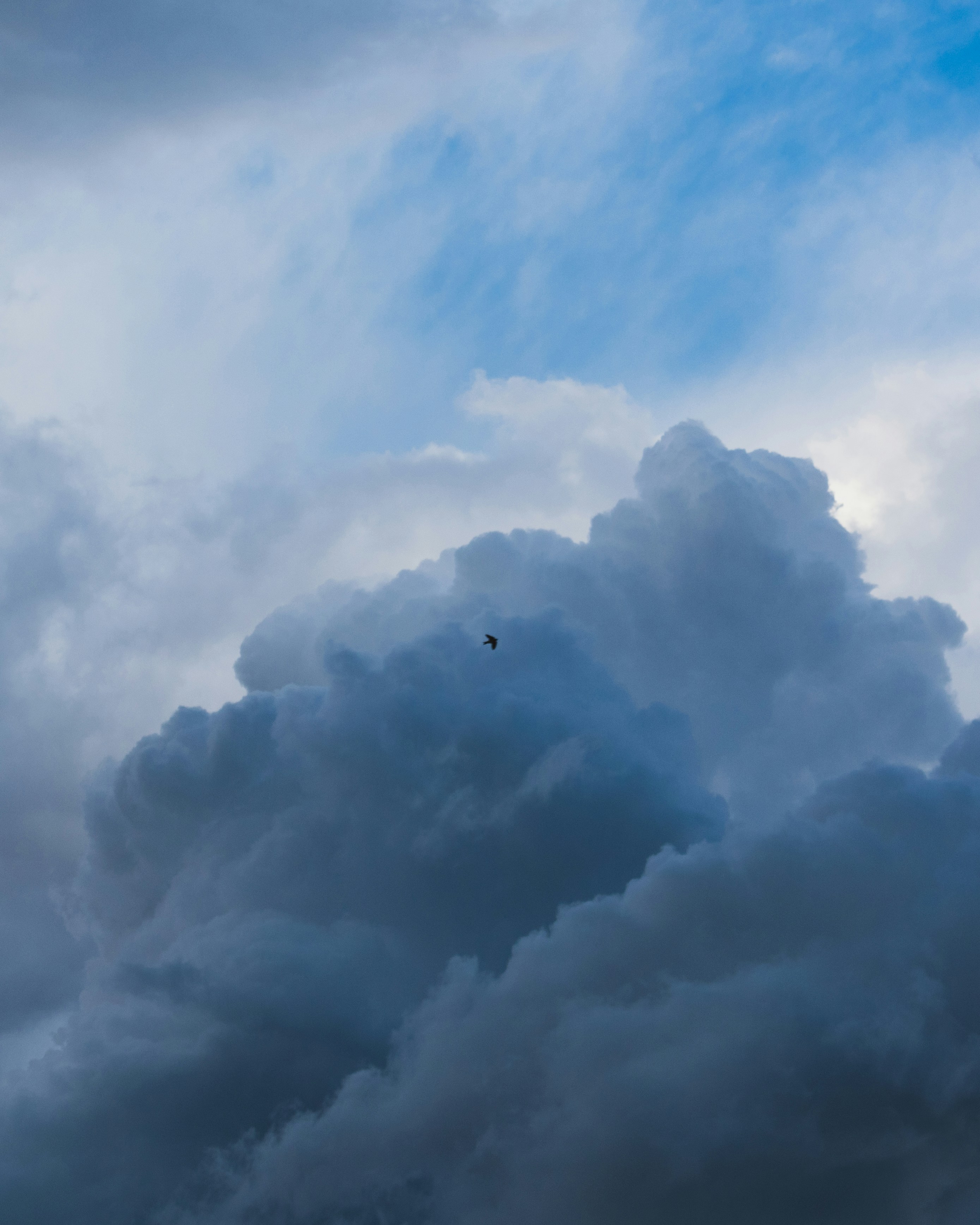 A solitary bird glides through a dramatic sky filled with billowing clouds and hints of blue. The scene captures the essence of freedom and tranquility.