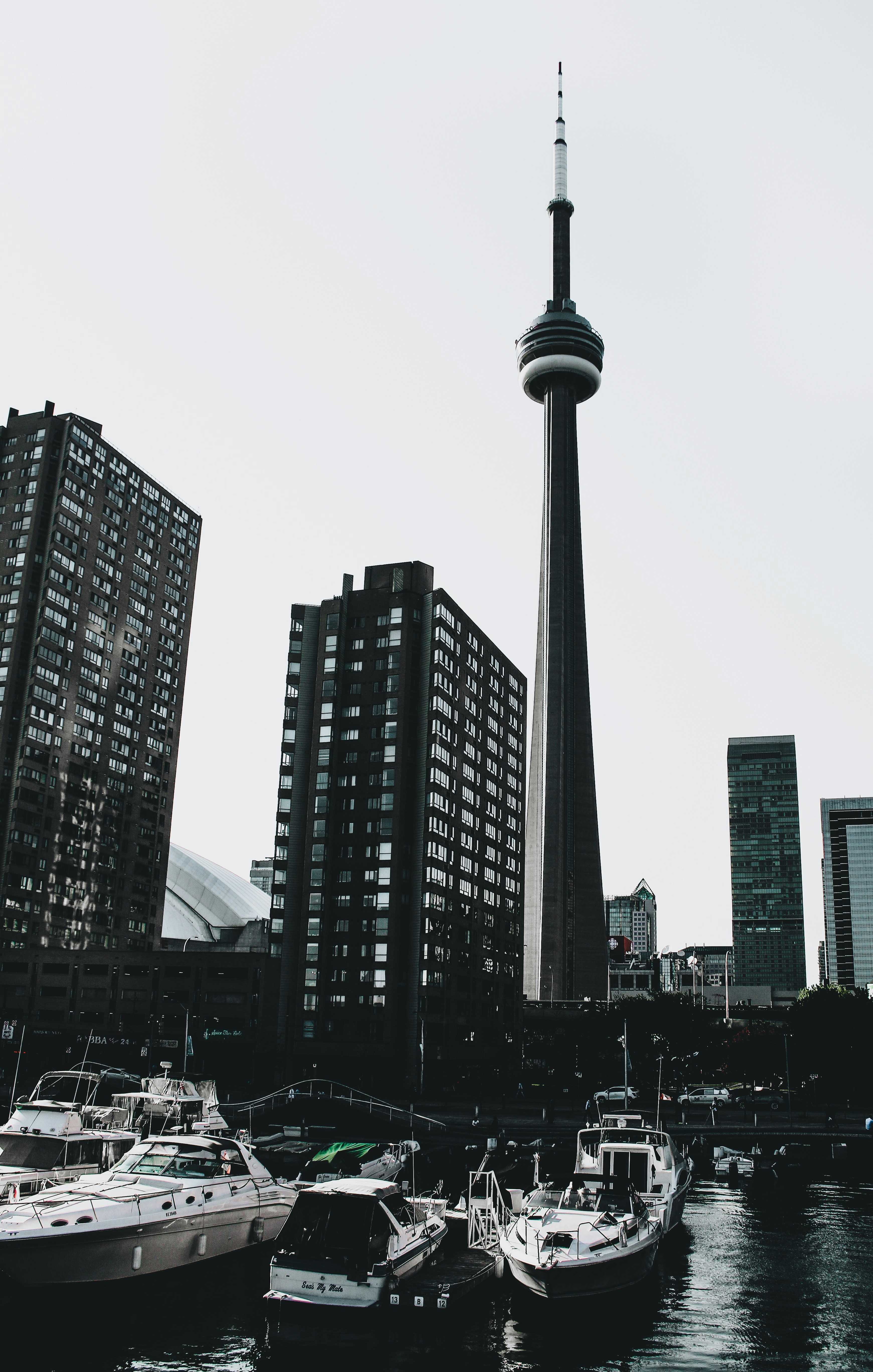 Cars parked on parking lot near high rise buildings during daytime ...