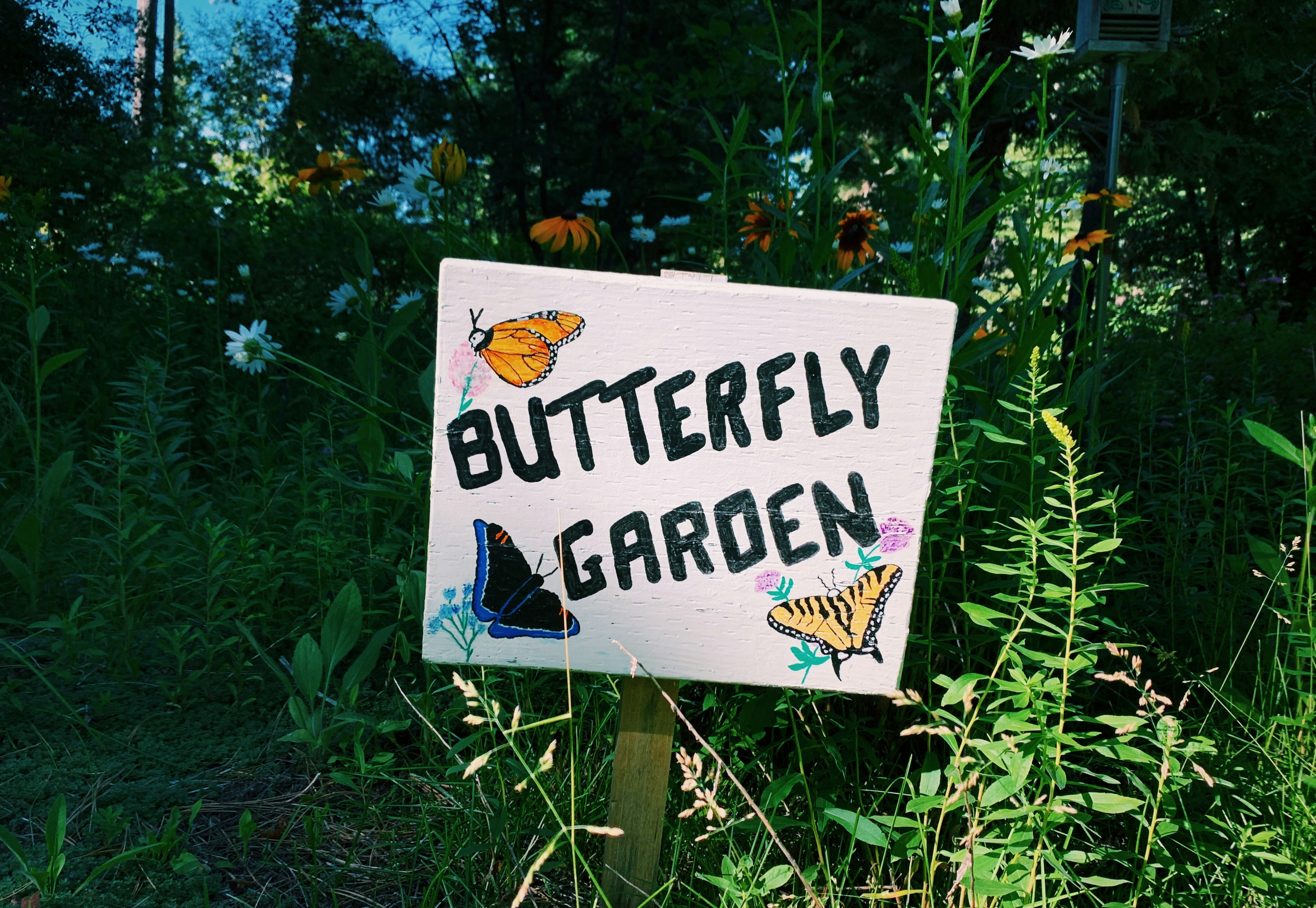 Painted Butterfly Garden Sign Amid Wildflowers