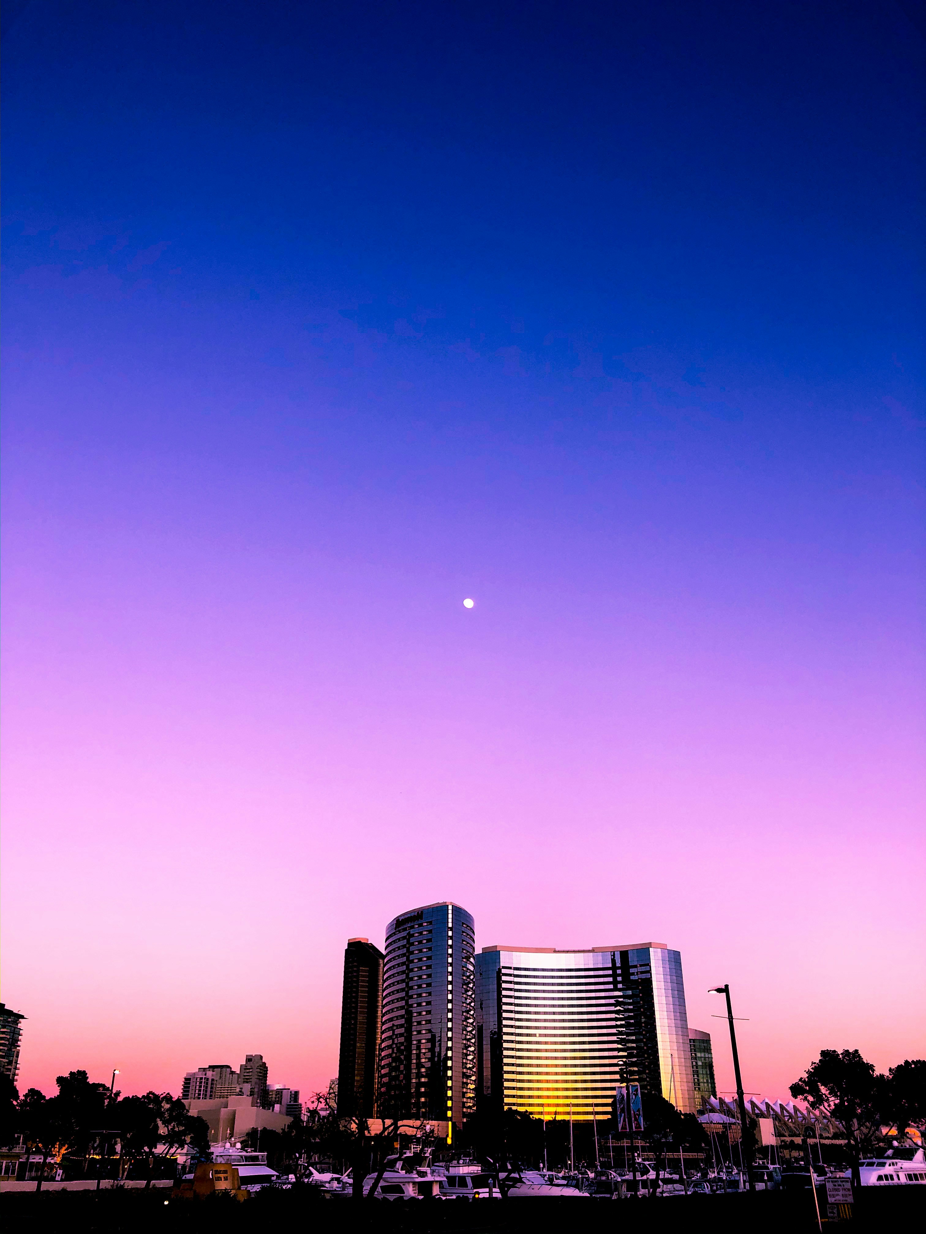 Cotton Candy Skies Over the Marina: Evening Silhouette