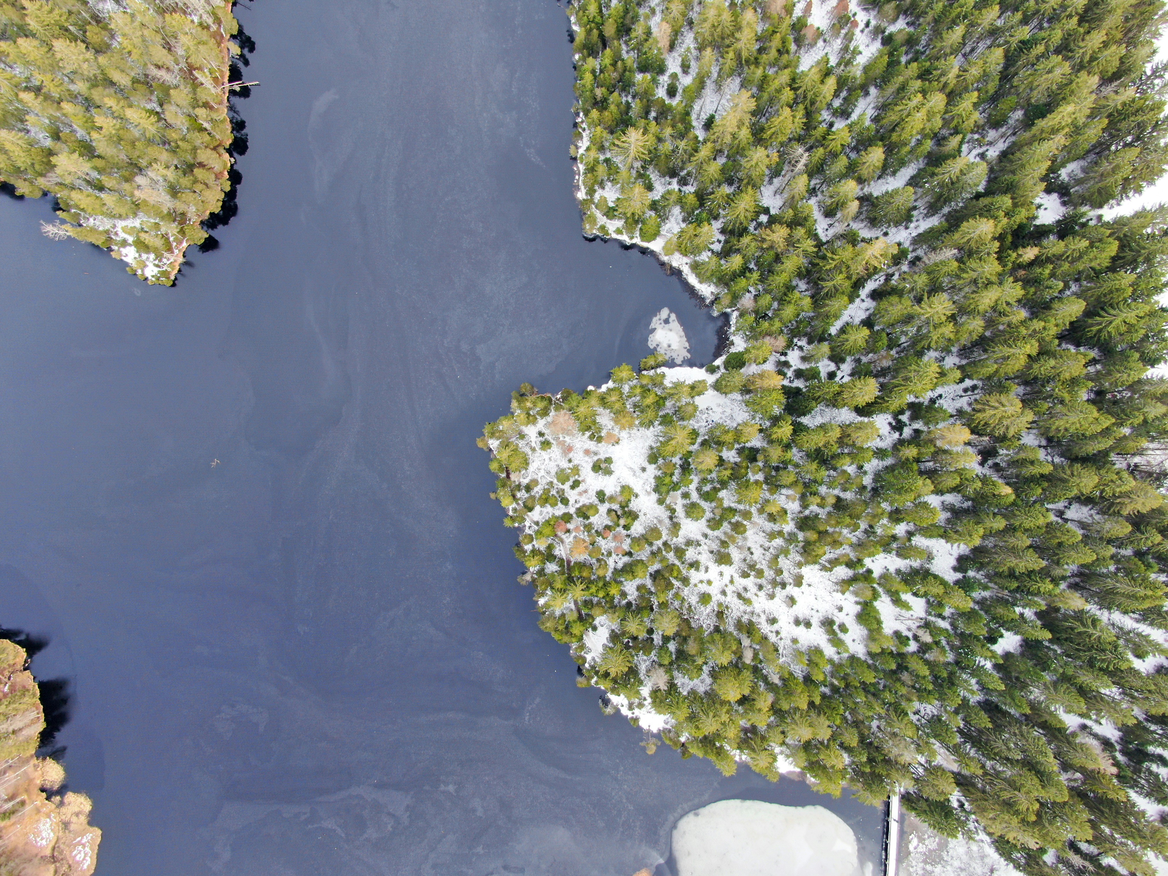 Aerial view of a snow-covered landscape with a winding river and dense evergreen trees, showcasing the harmony of nature in winter.