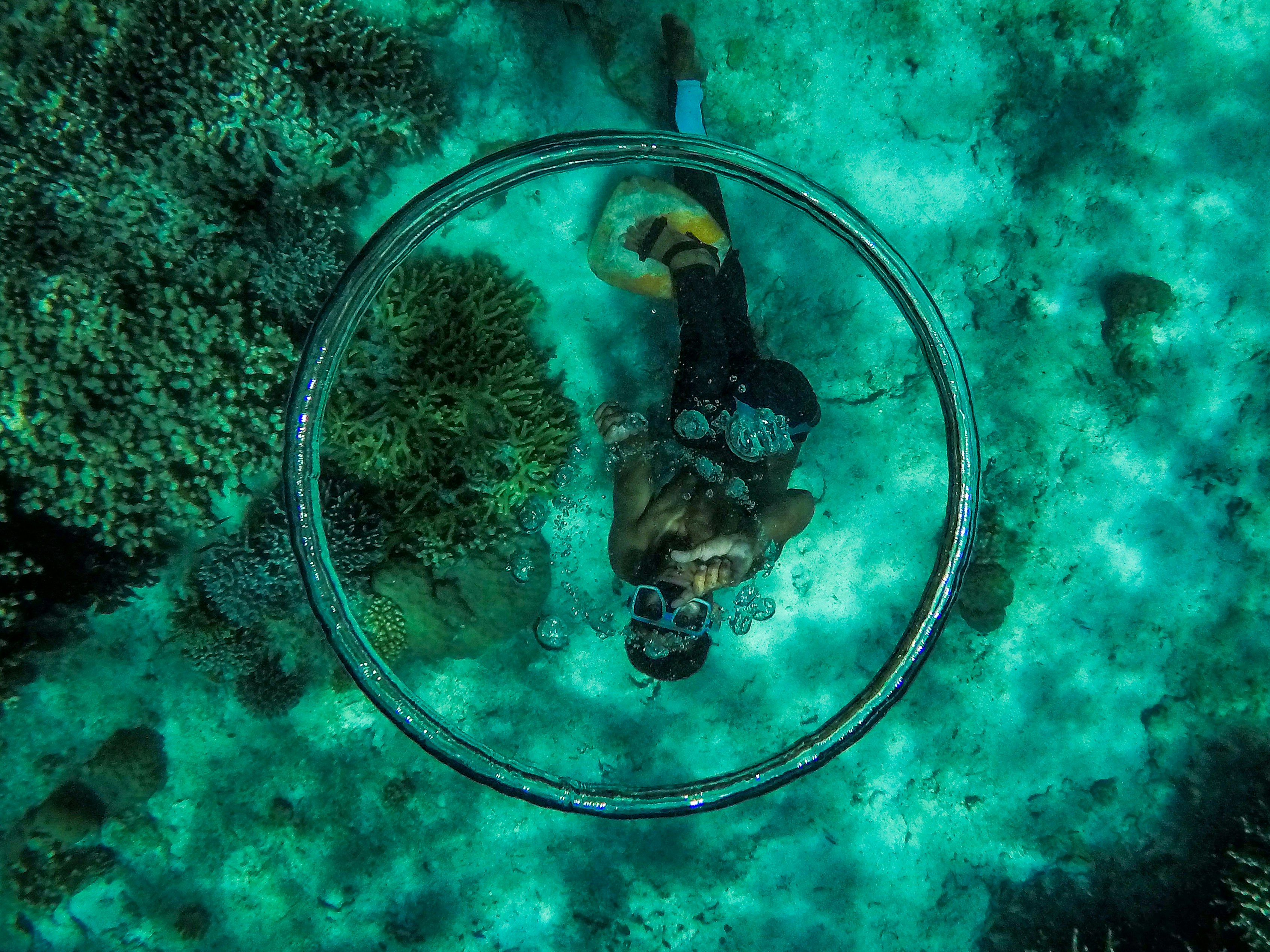 Ringed Horizon: Diver Halts Within an Underwater Bubble Circle Amid Coral