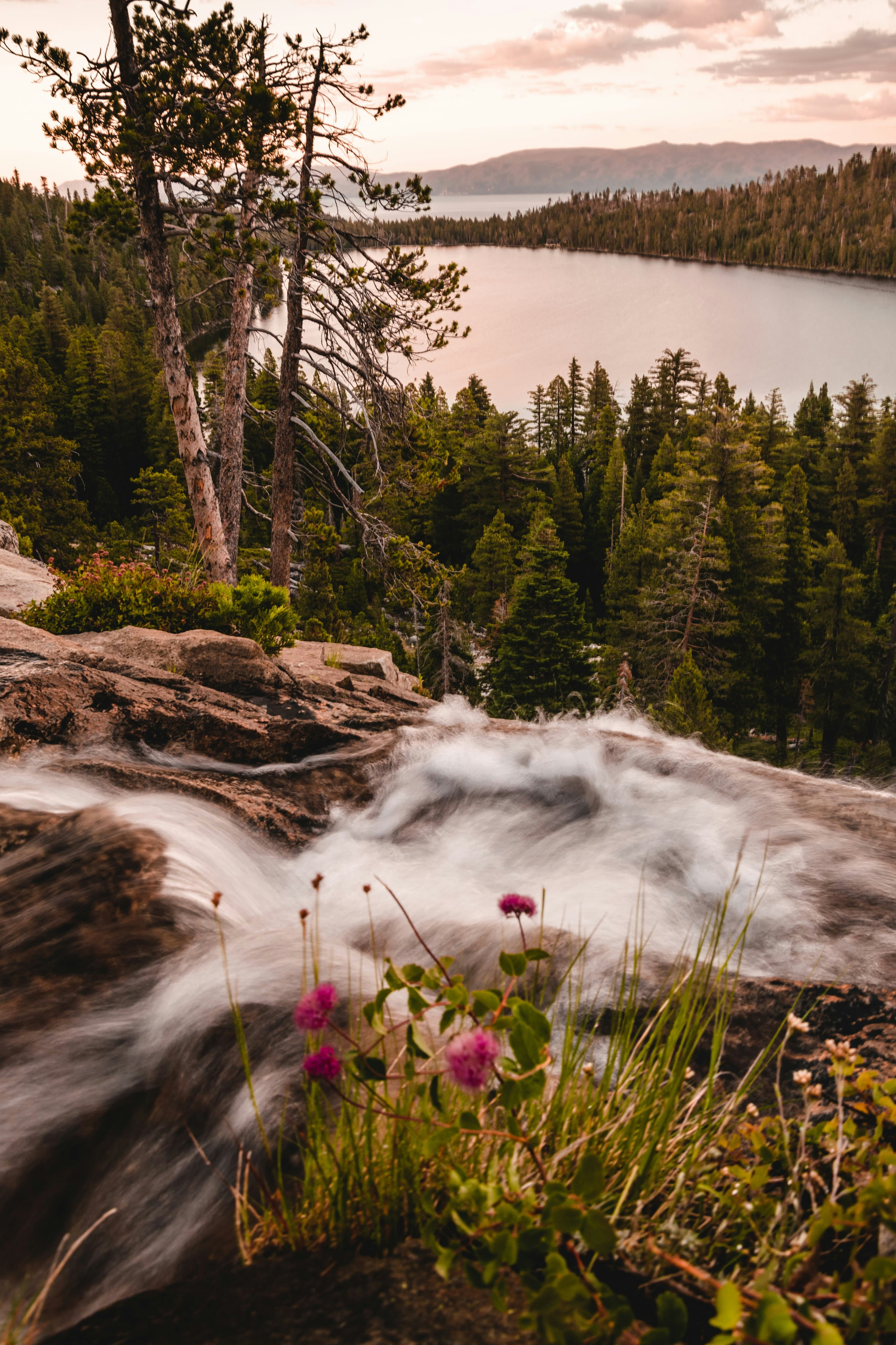 Cascade Overlook: Wildflowers at the Edge of the Lake