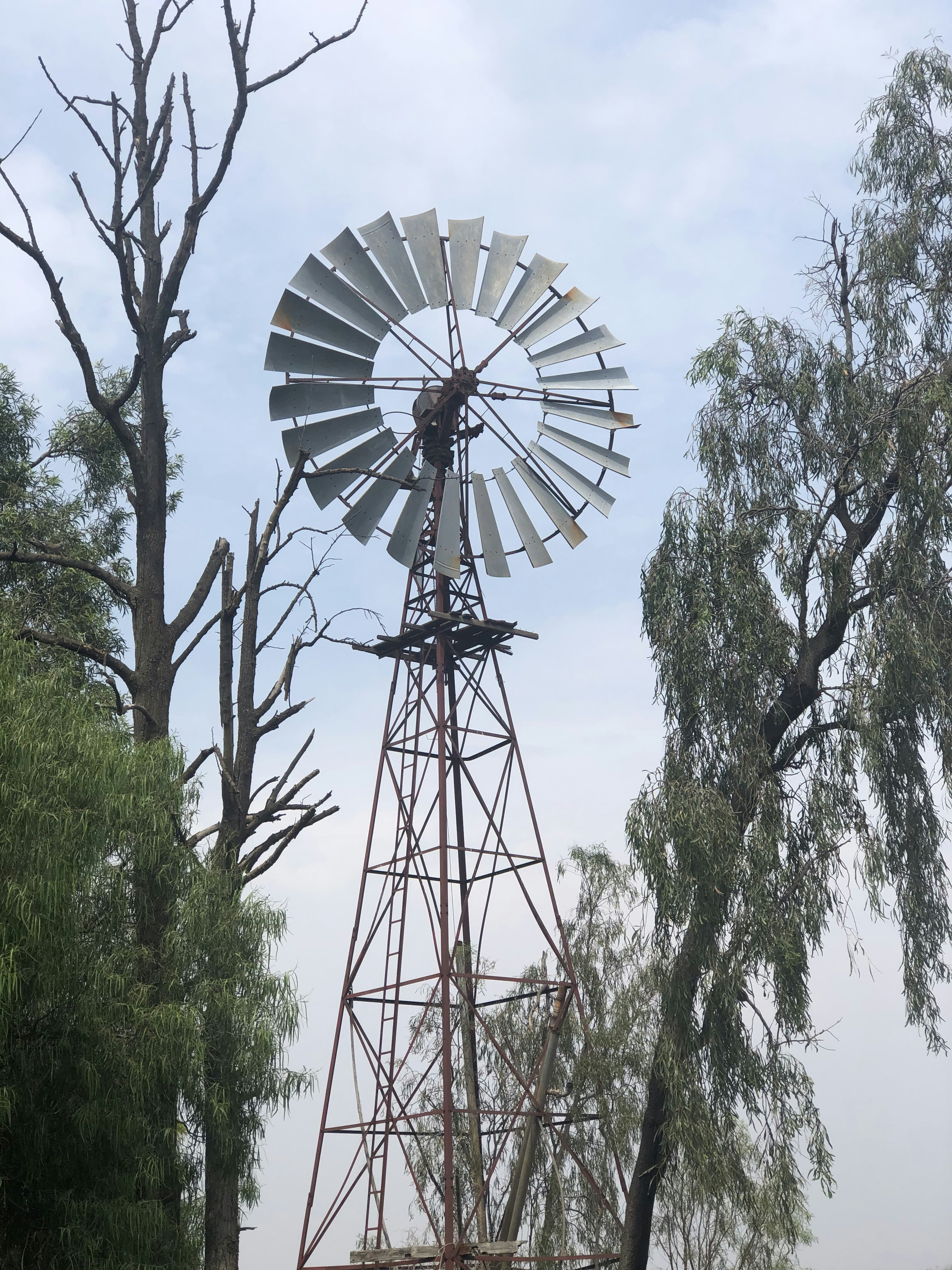 Windmill Sentinel: Rusted Tower Against a Quiet Sky
