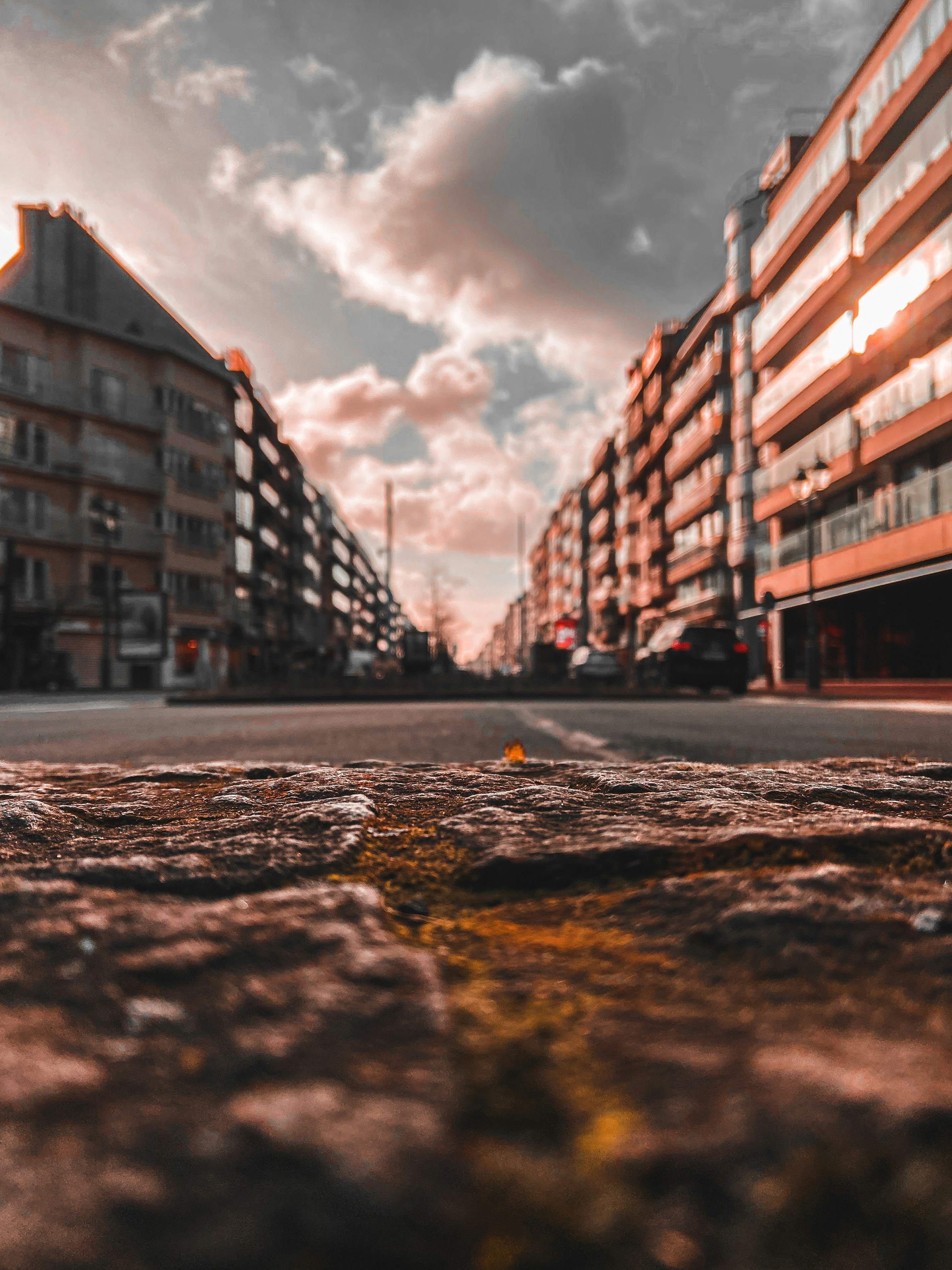 Ground-Level Convergence on a Dusk-Burnished City Boulevard