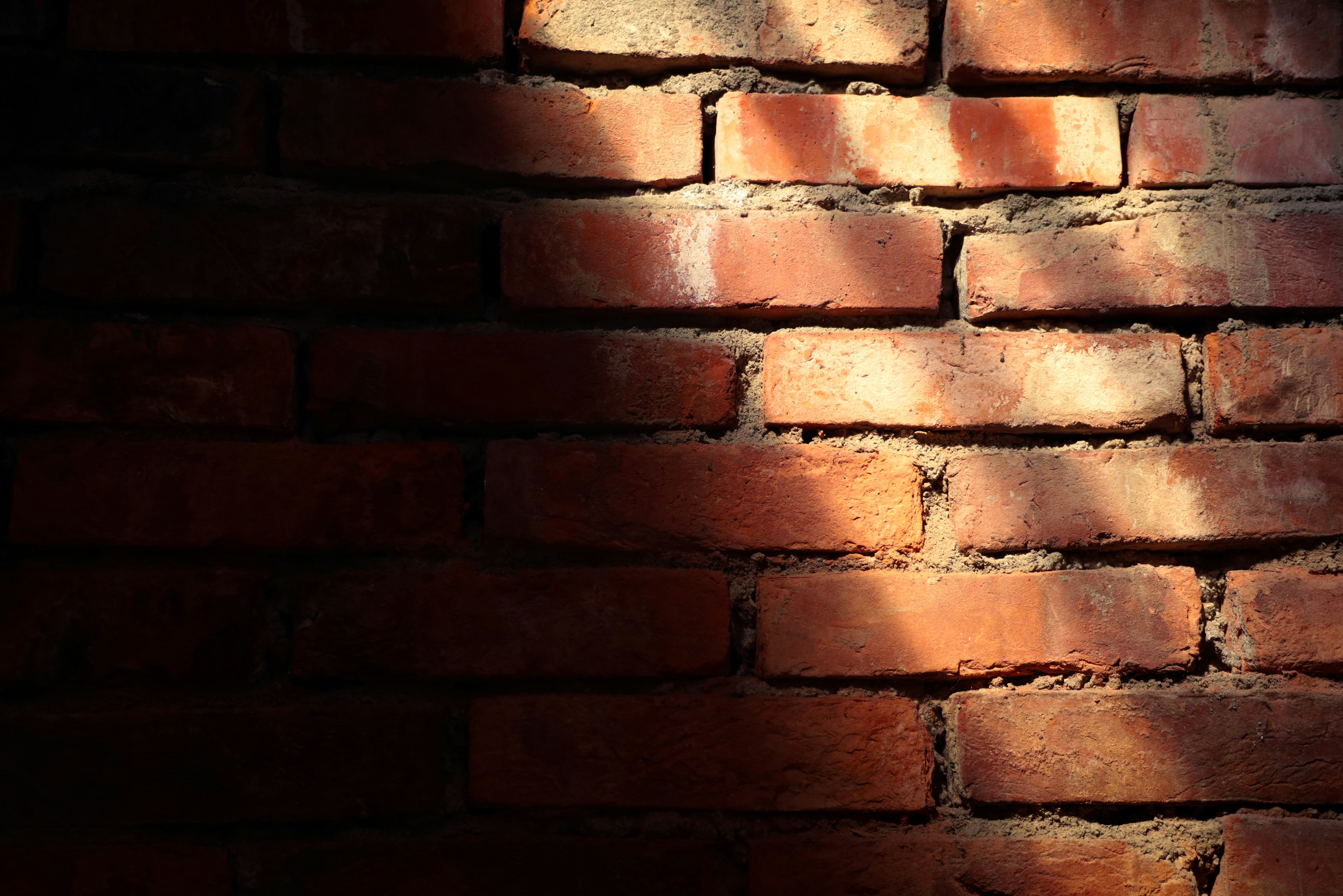 Sample photo from Canon EOS RP