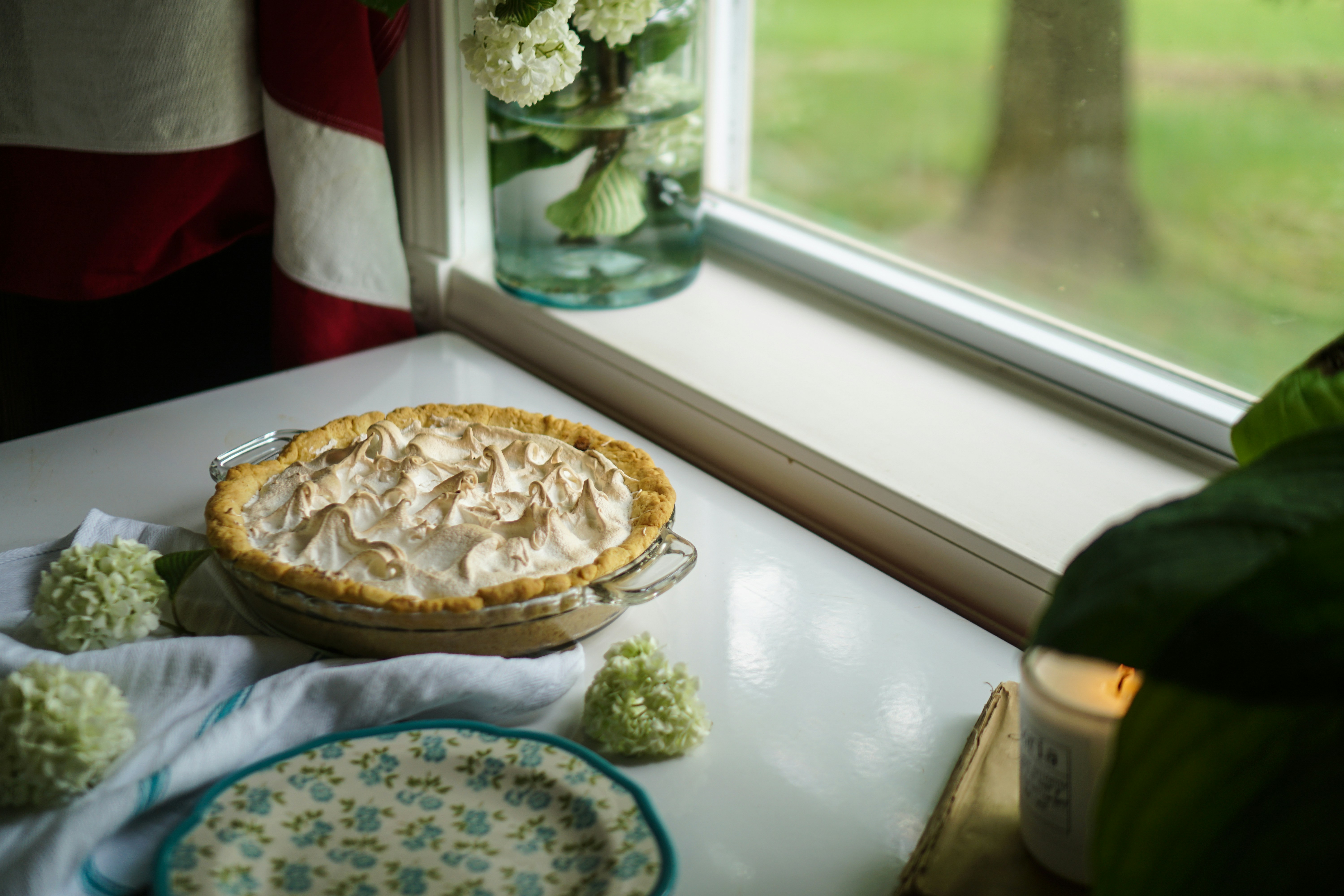 Sunlit Windowsill Pie: Quiet Comfort by Hydrangea Bloom