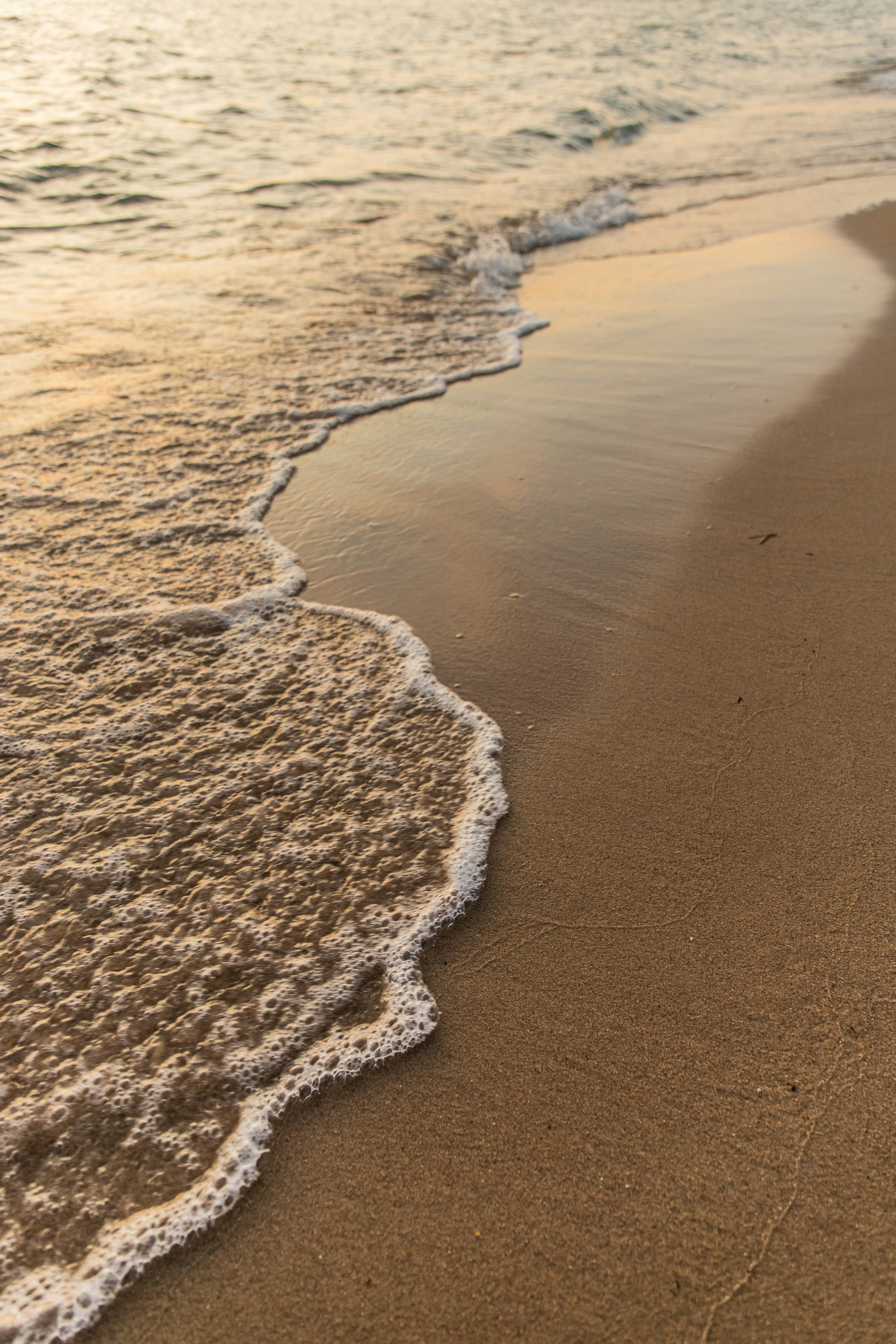 Brown sand on beach during daytime photo – Free Australia Image on Unsplash
