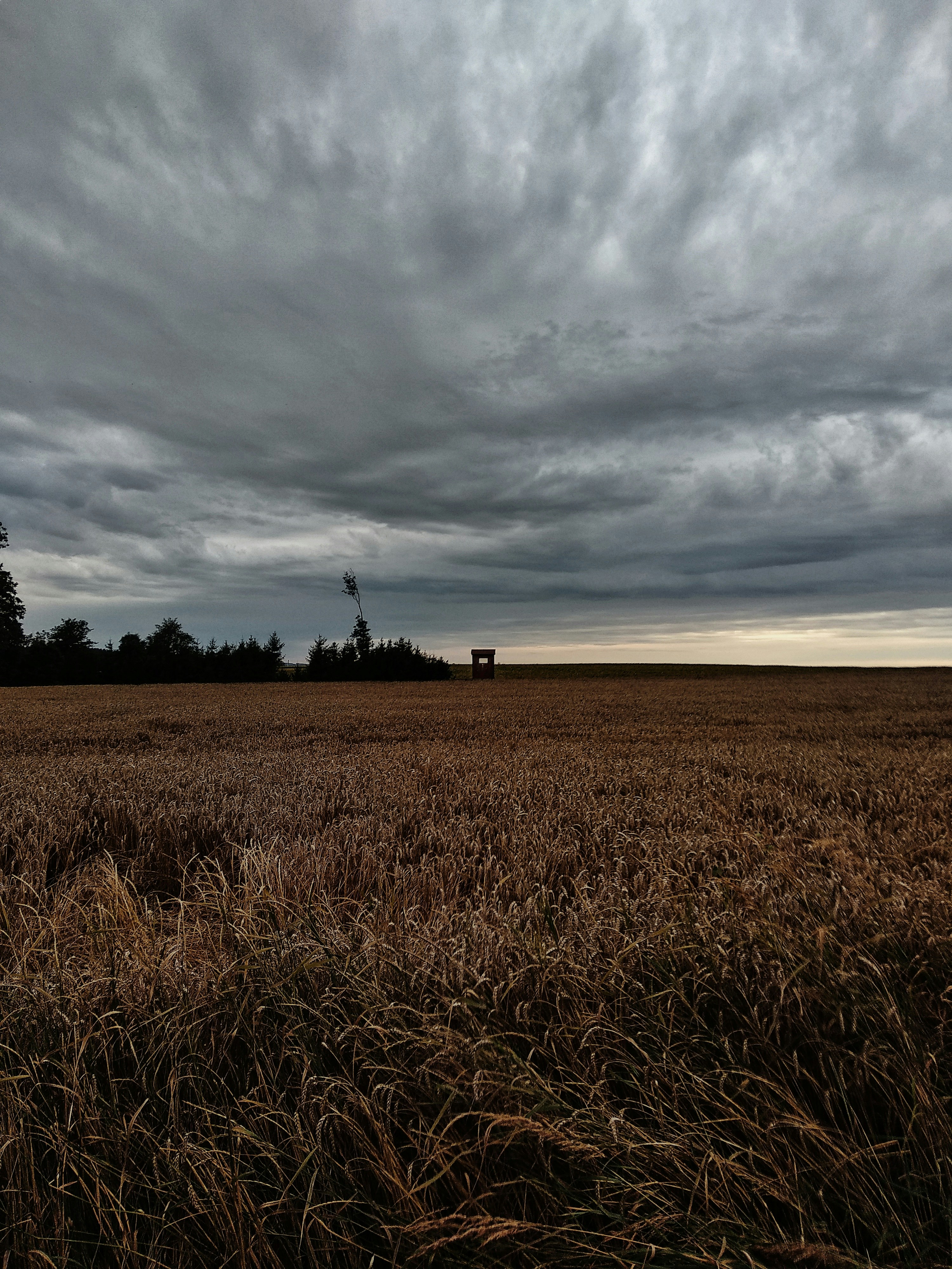Horizon Gate: A Field Under brooding Skies